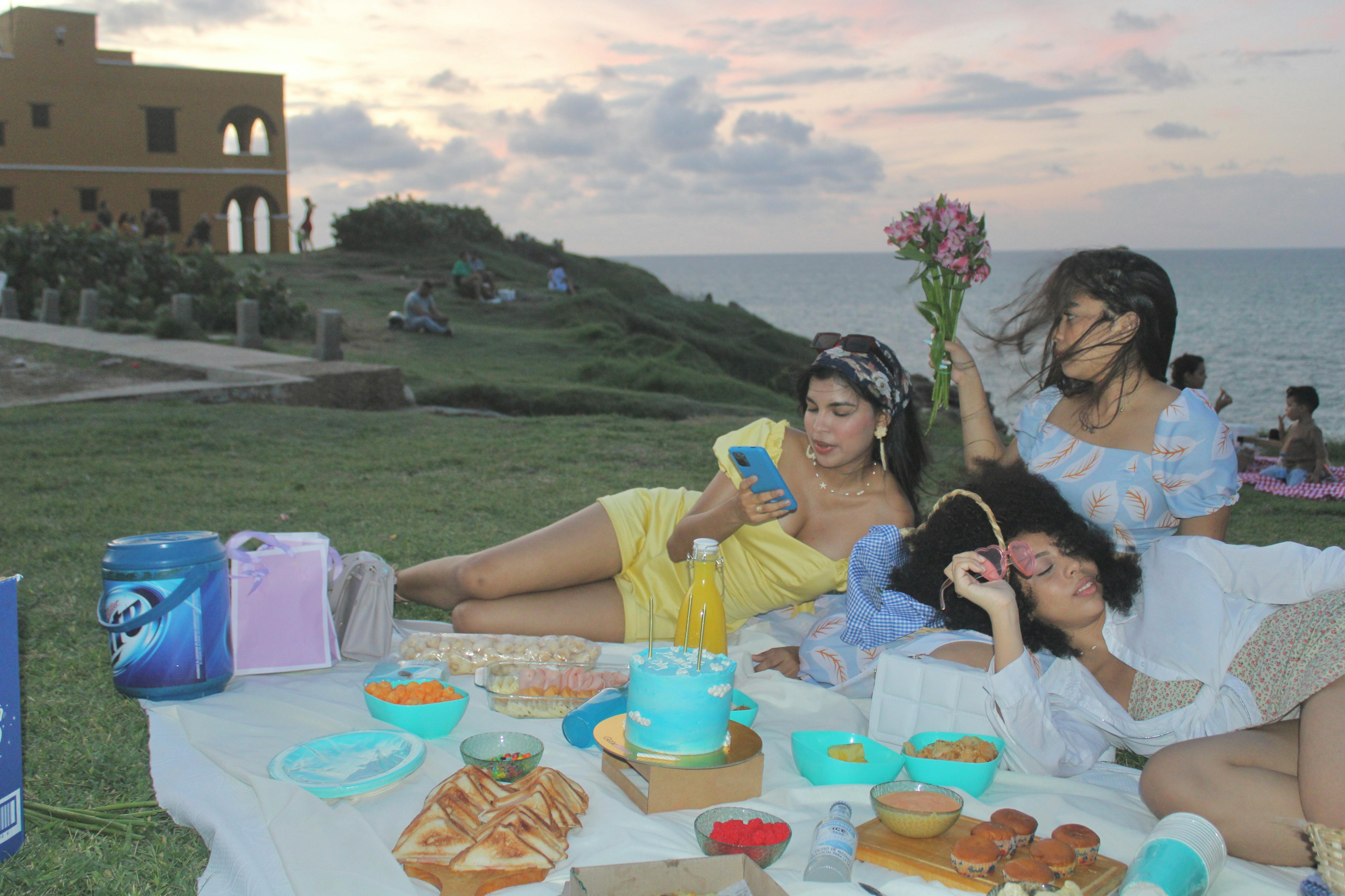 Picnic 16 Photos & Videos Collected by Dayanna Martinez