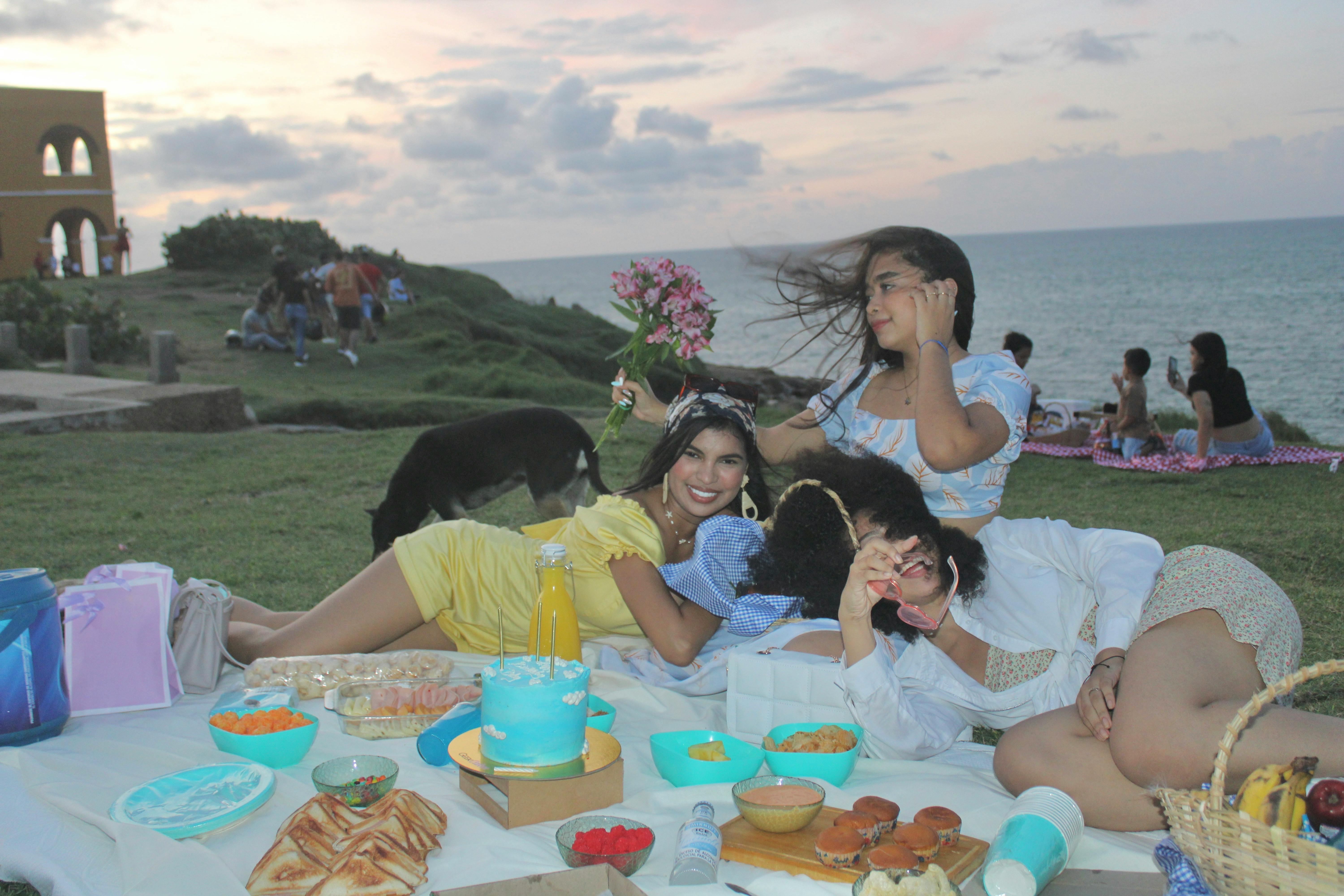 Picnic 16 Photos & Videos Collected by Dayanna Martinez