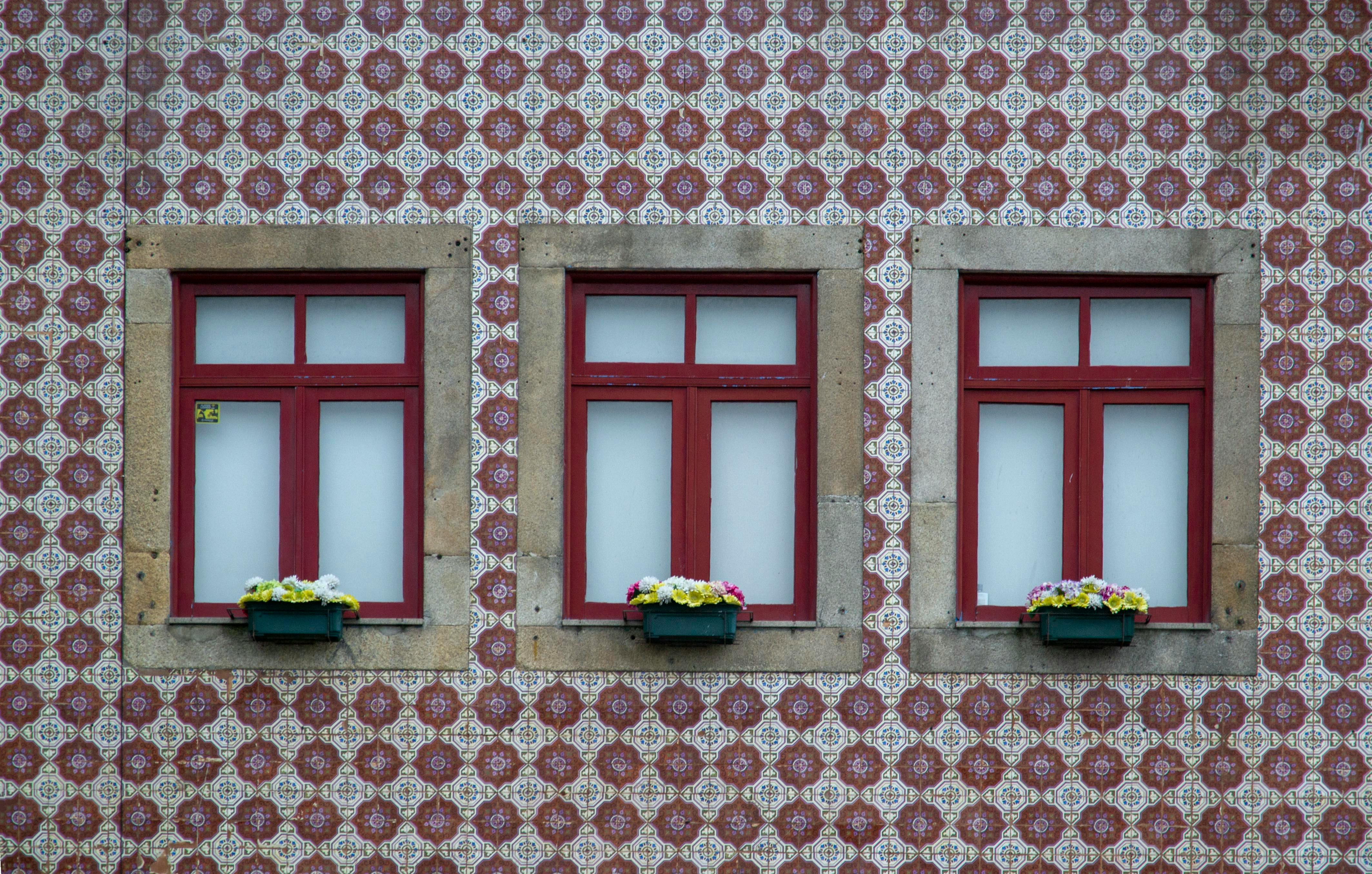 Wooden-Framed Windows · Free Stock Photo