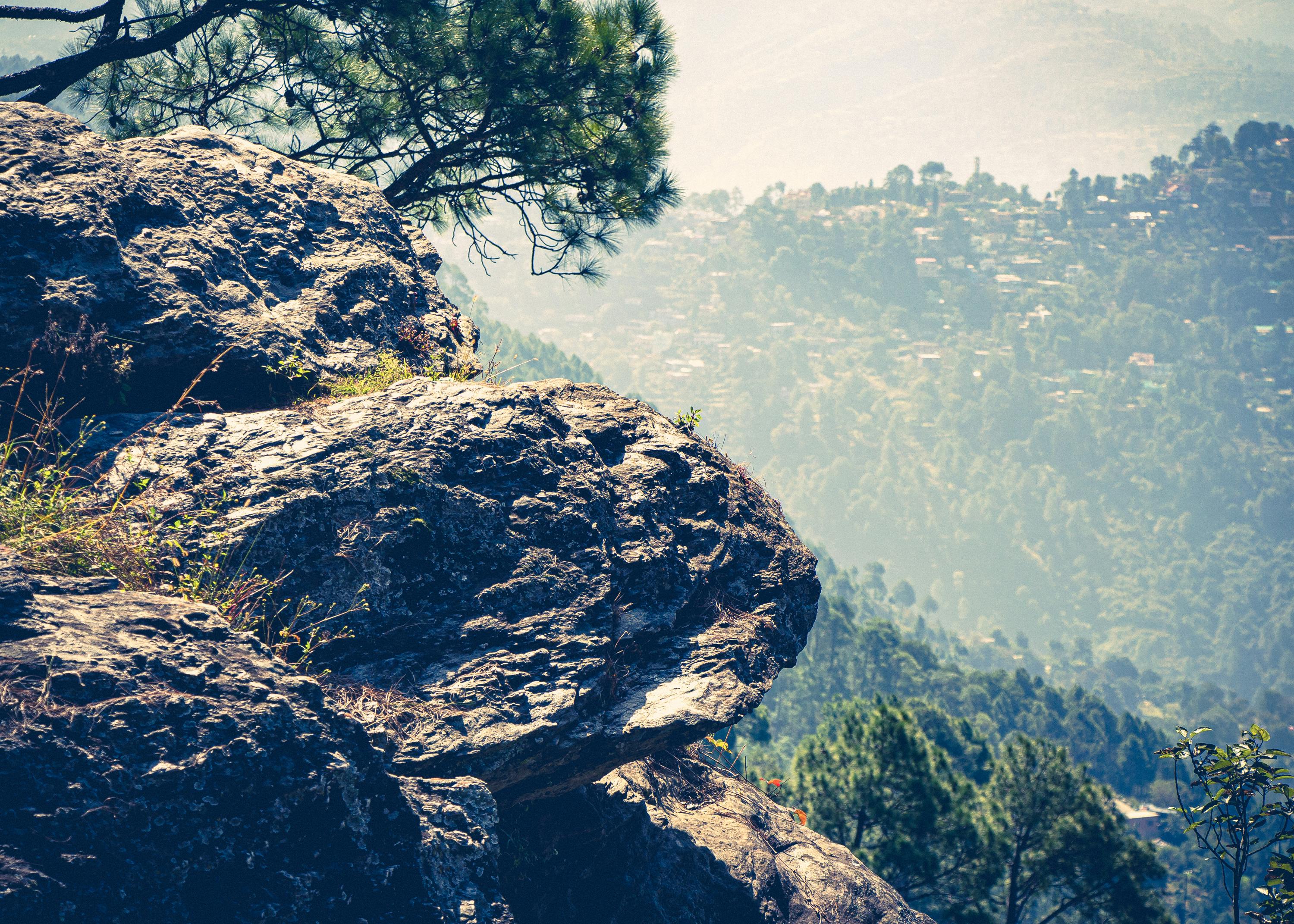 Auris Studio - 사진