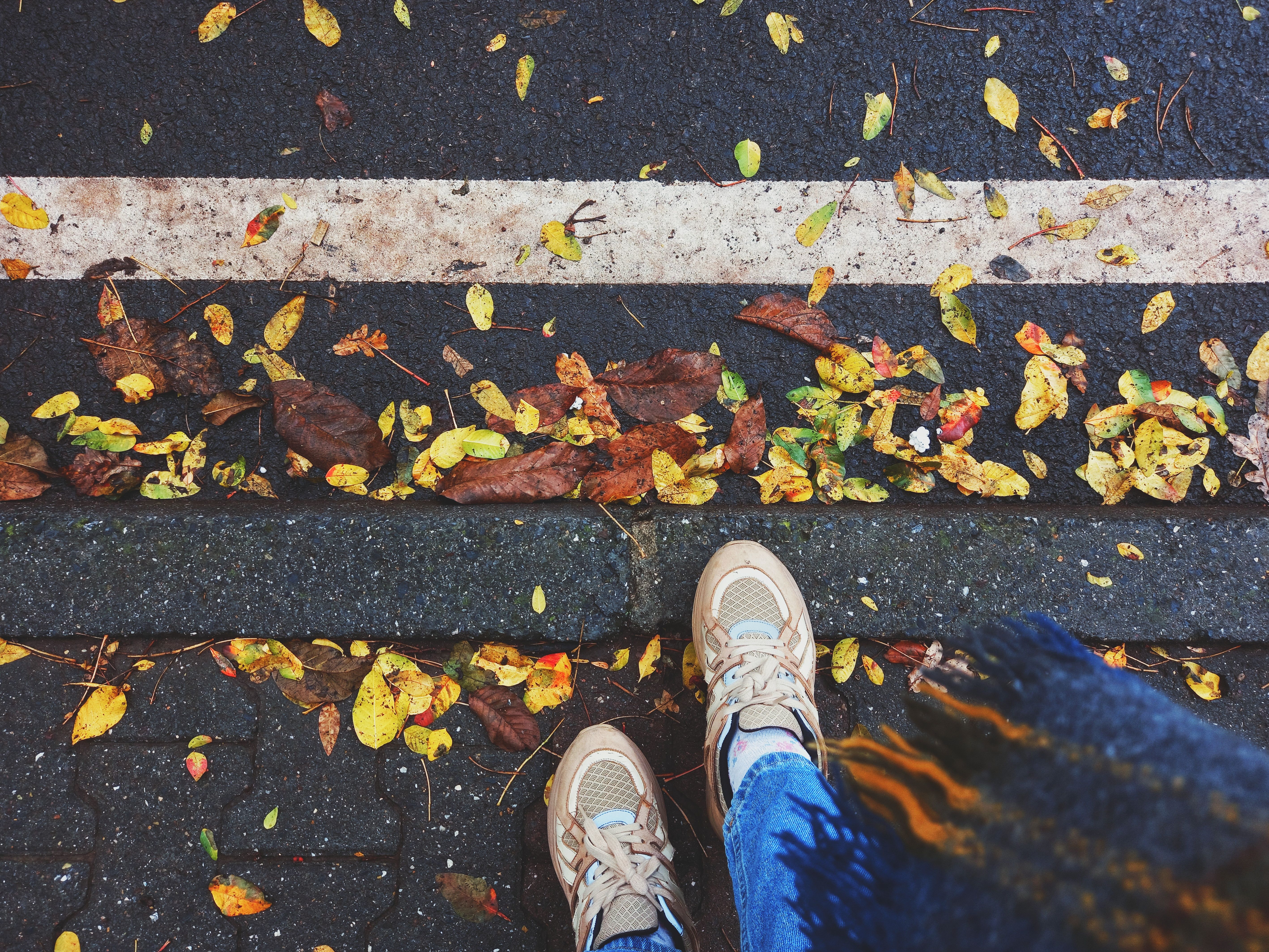 Legs on a Autumn Sidewalk · Free Stock Photo