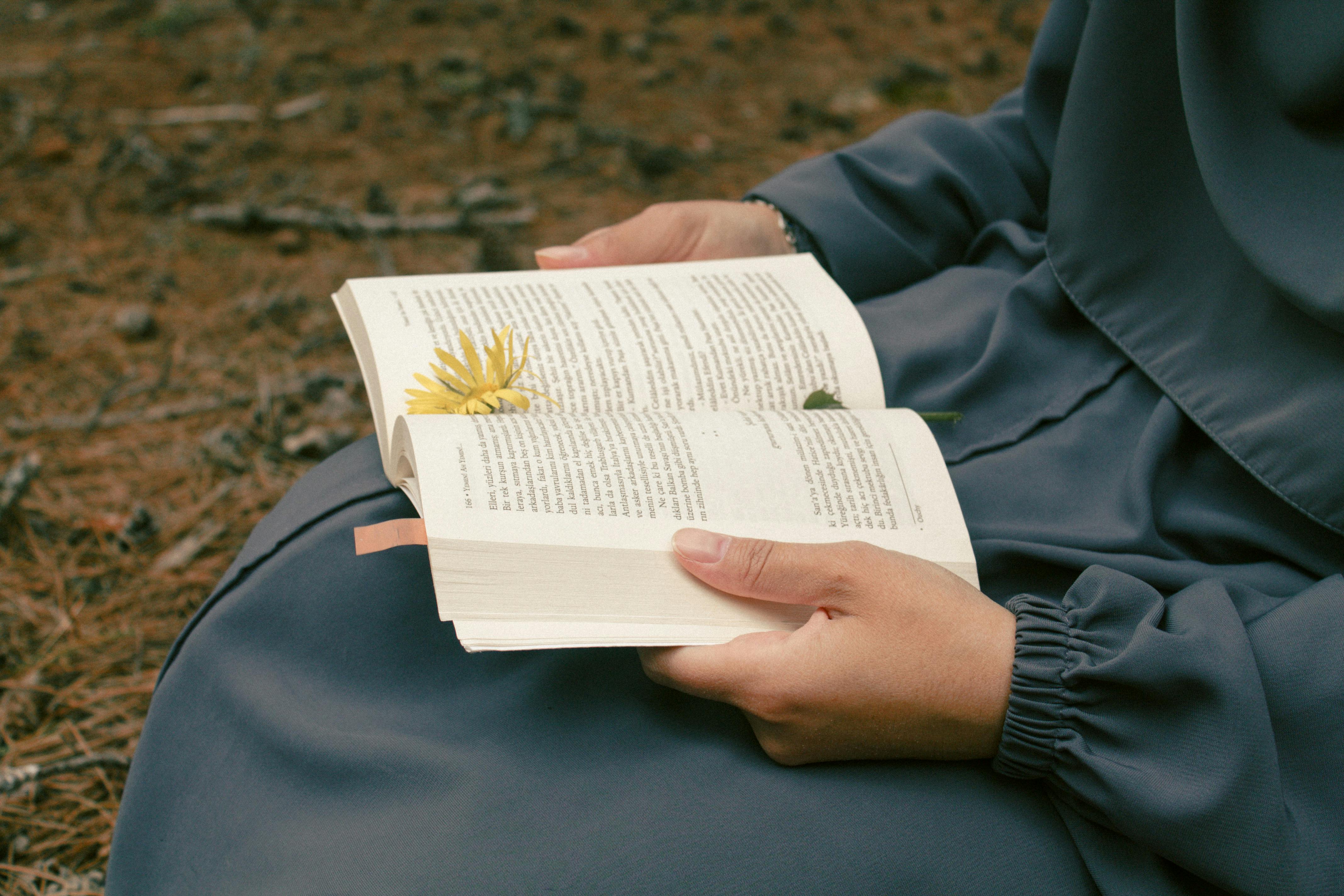 A Person Reading a Book · Free Stock Photo