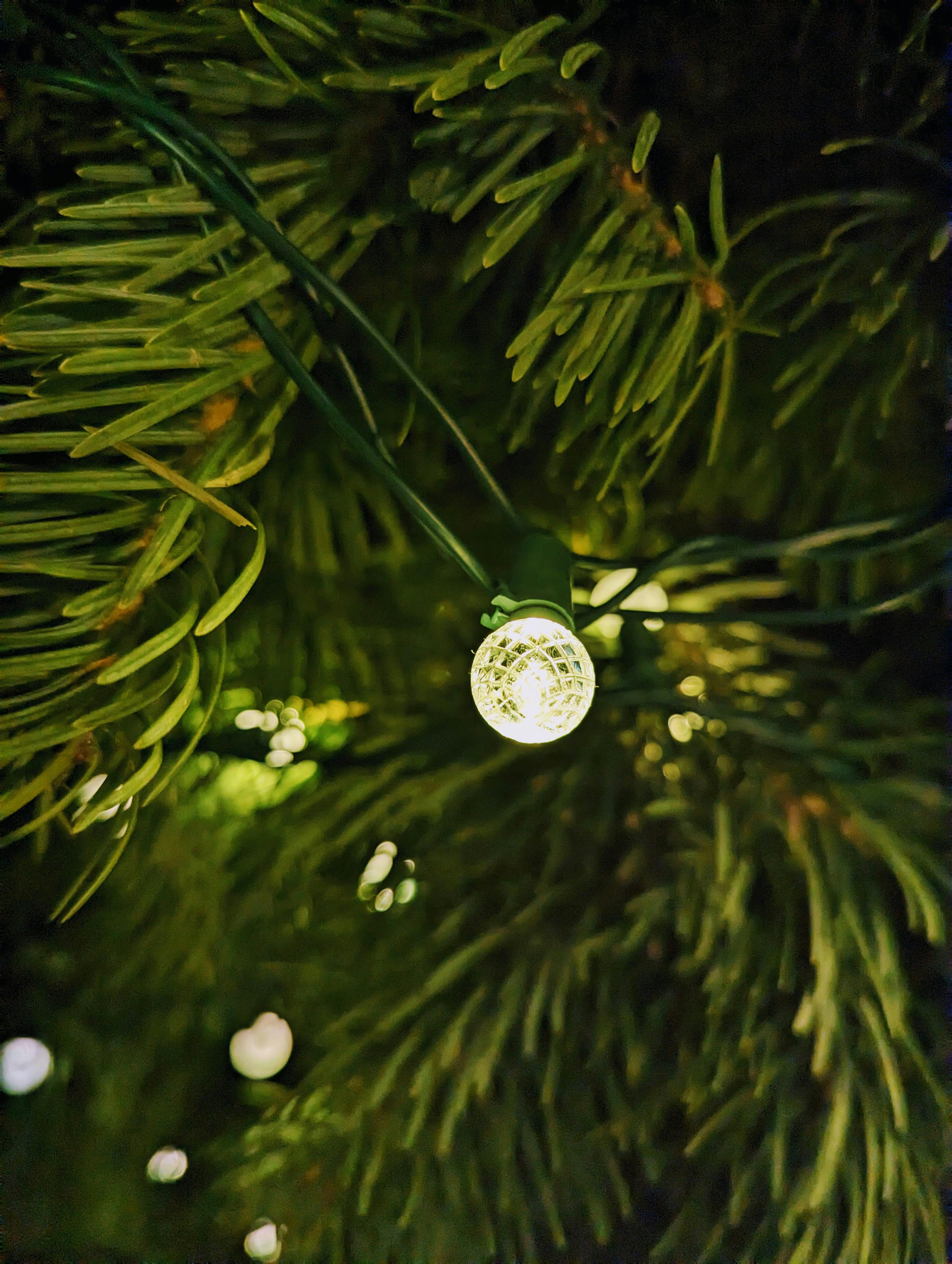 Caleb Clark - Photography