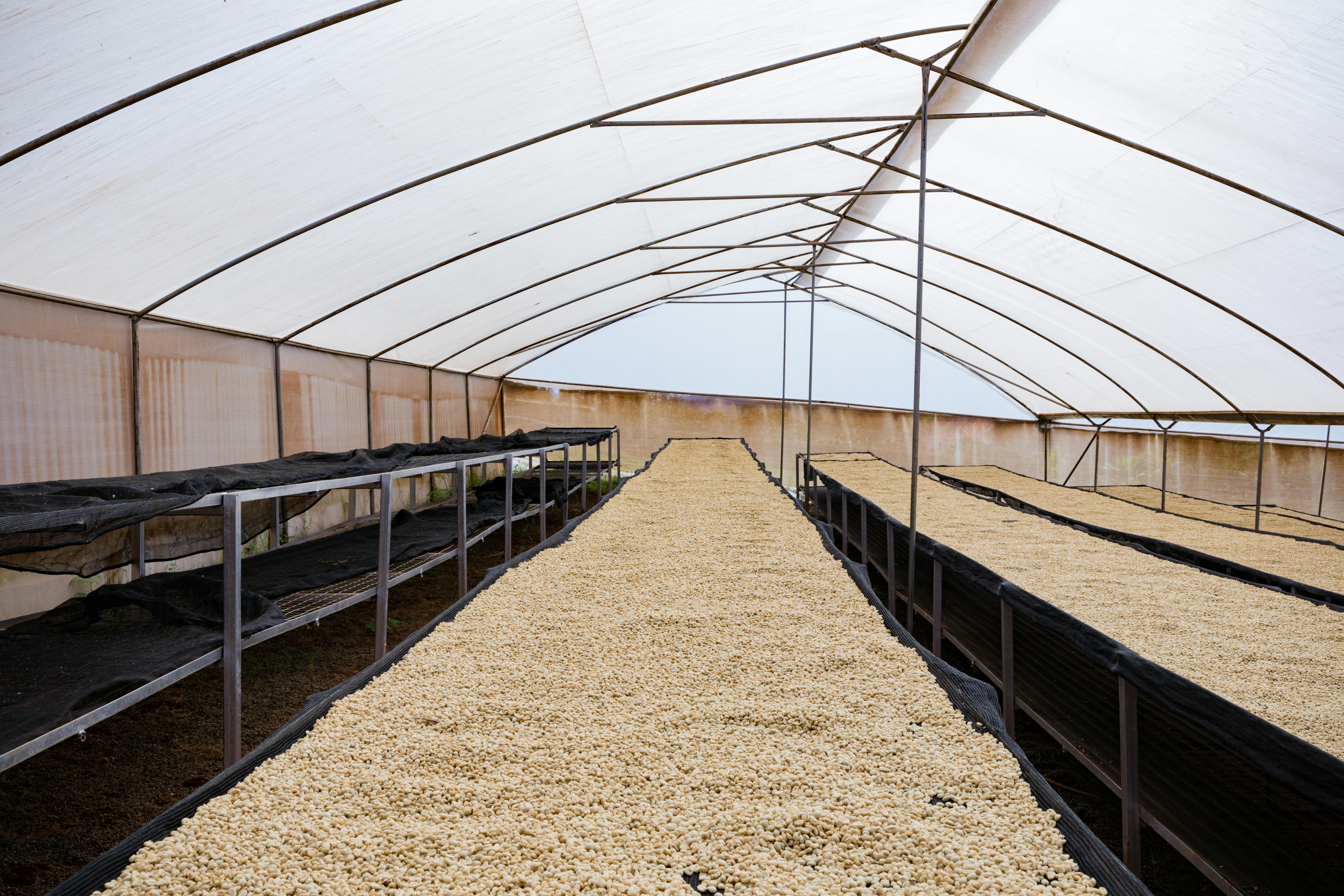 Farm with Canopies for Crops Protection · Free Stock Photo