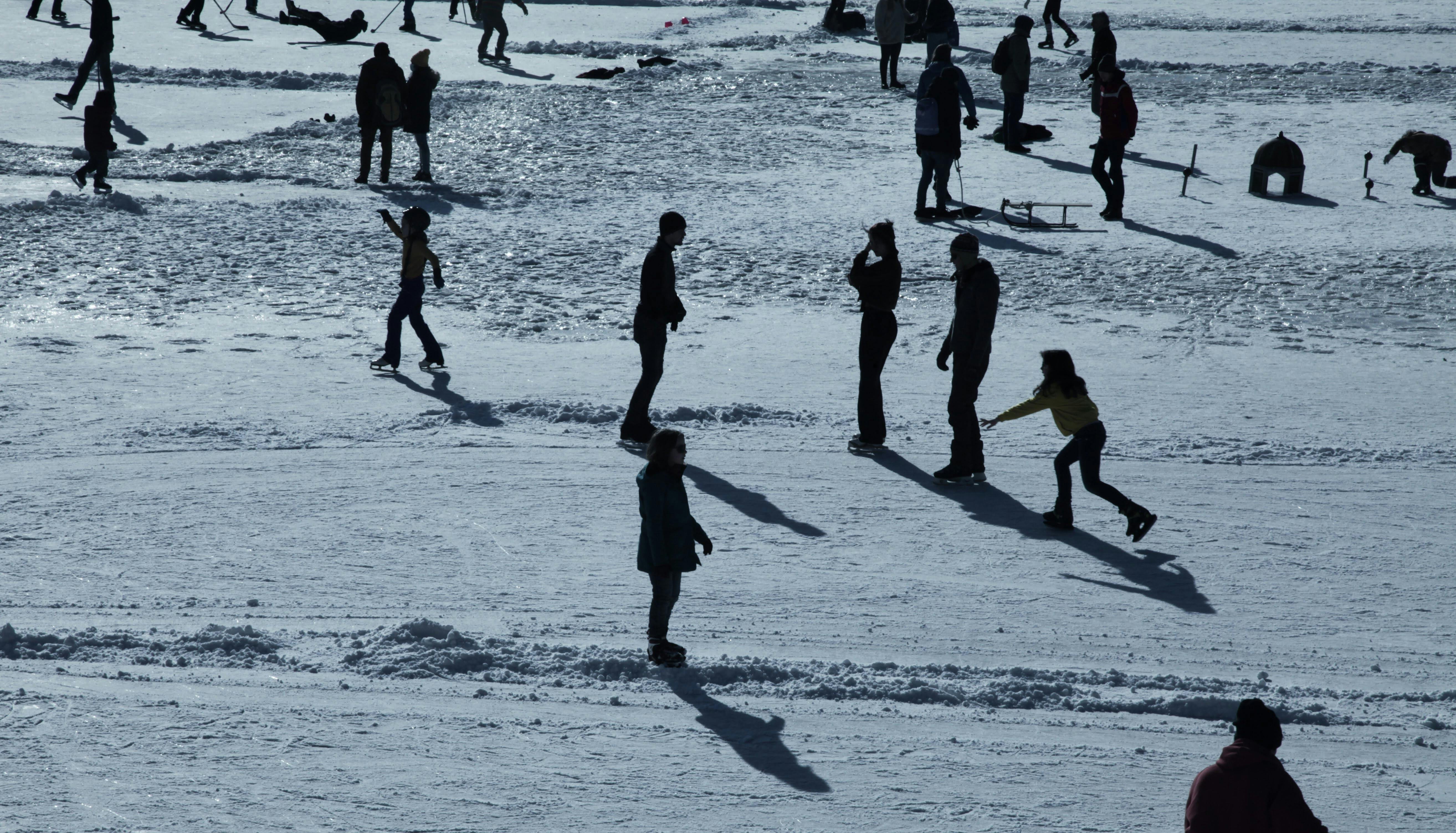 Skeat Photos, Download The BEST Free Skeat Stock Photos & HD Images