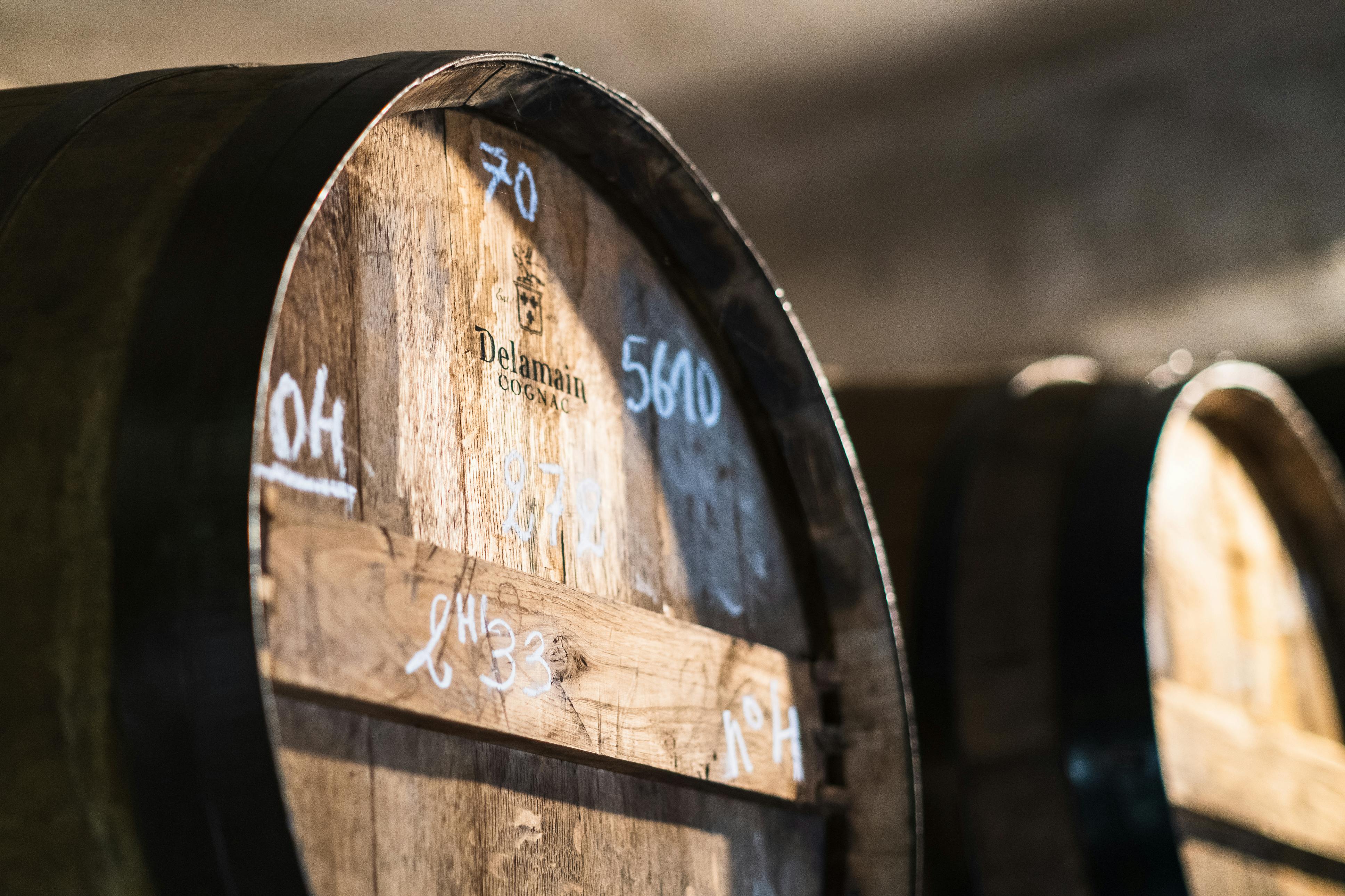 Wine Fermentation Photos, Download The BEST Free Wine Fermentation ...