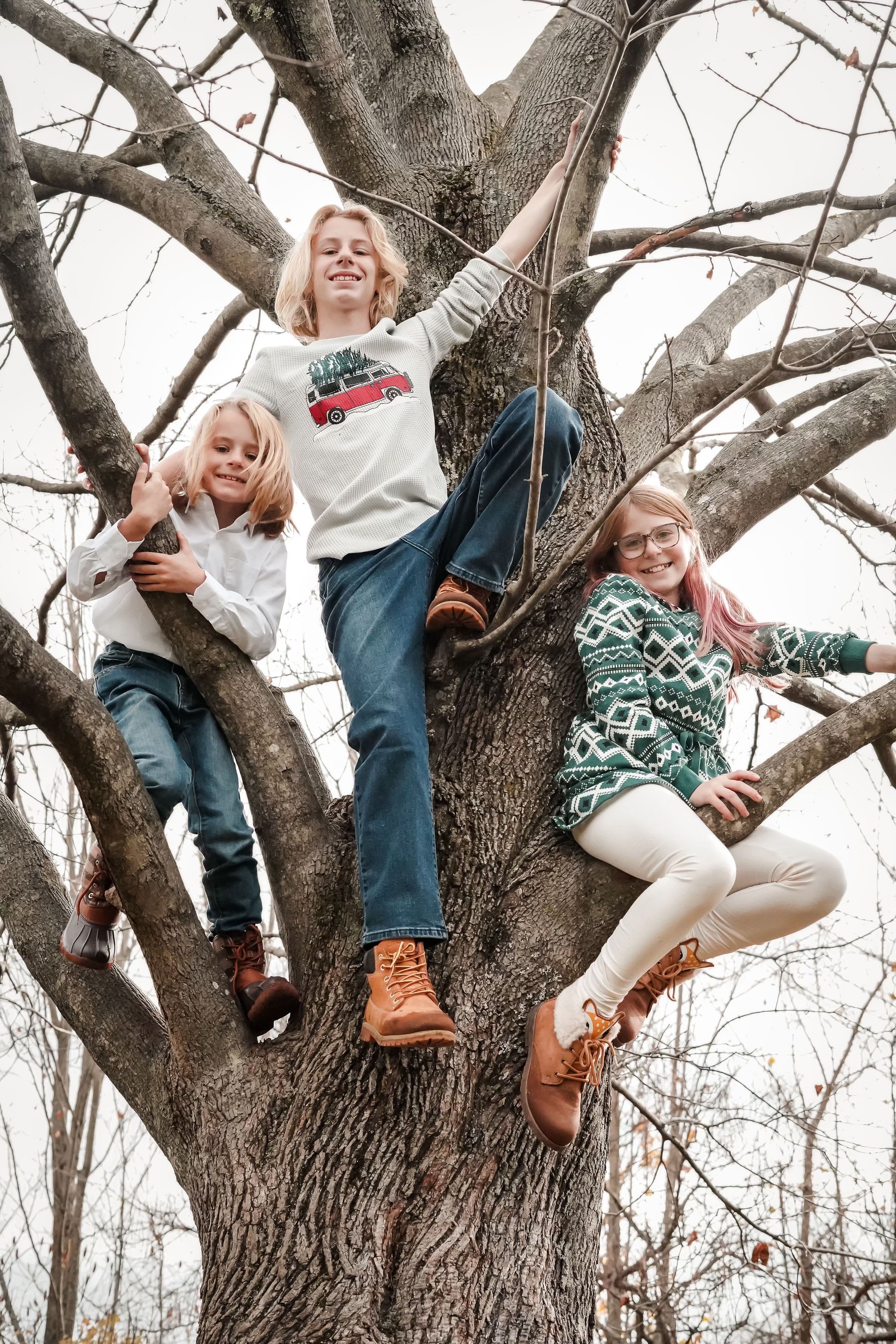 Children on Tree Trunk · Free Stock Photo
