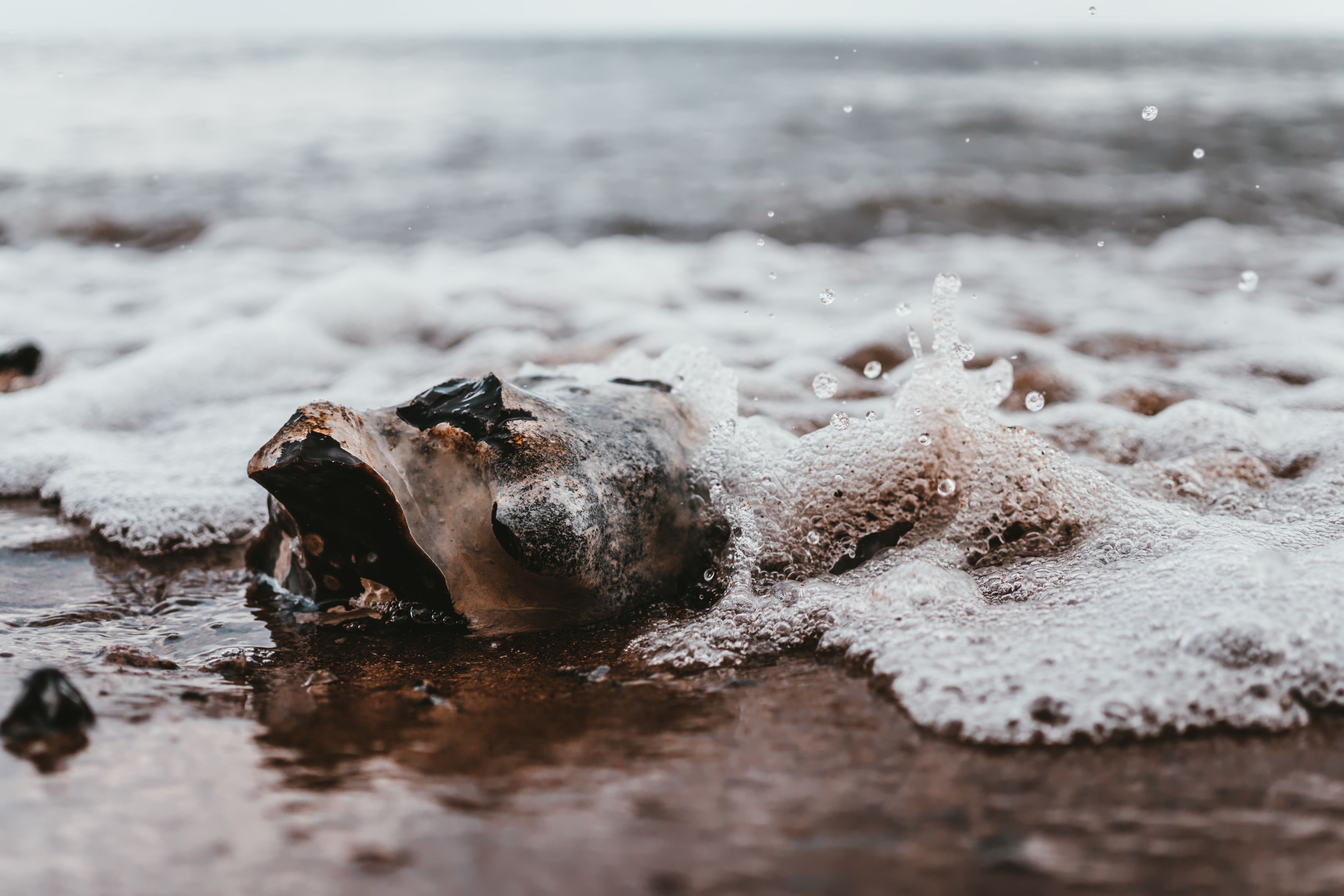 Coastal Pebble Beach with Ocean Waves · Free Stock Photo