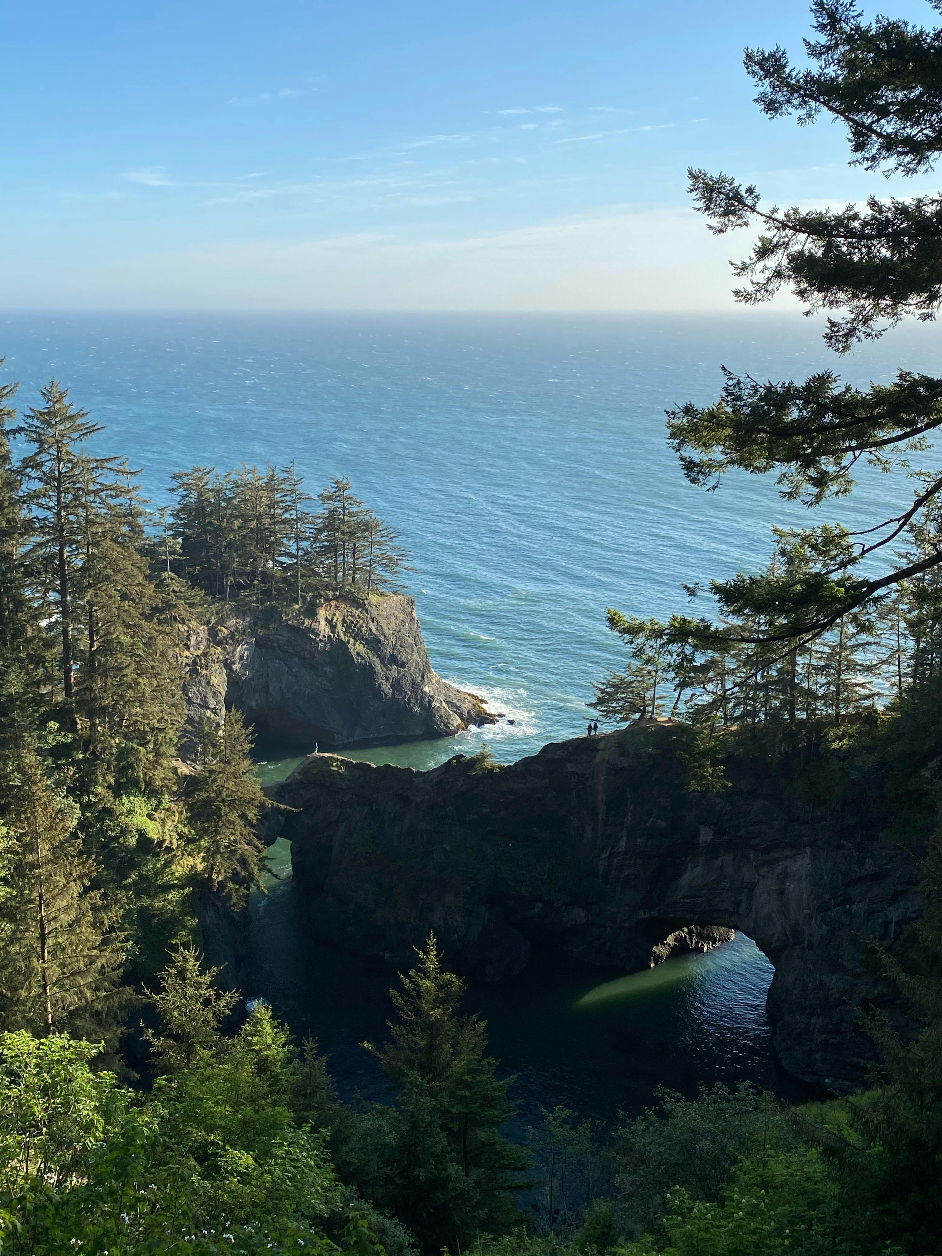 Jane Bird - Photography