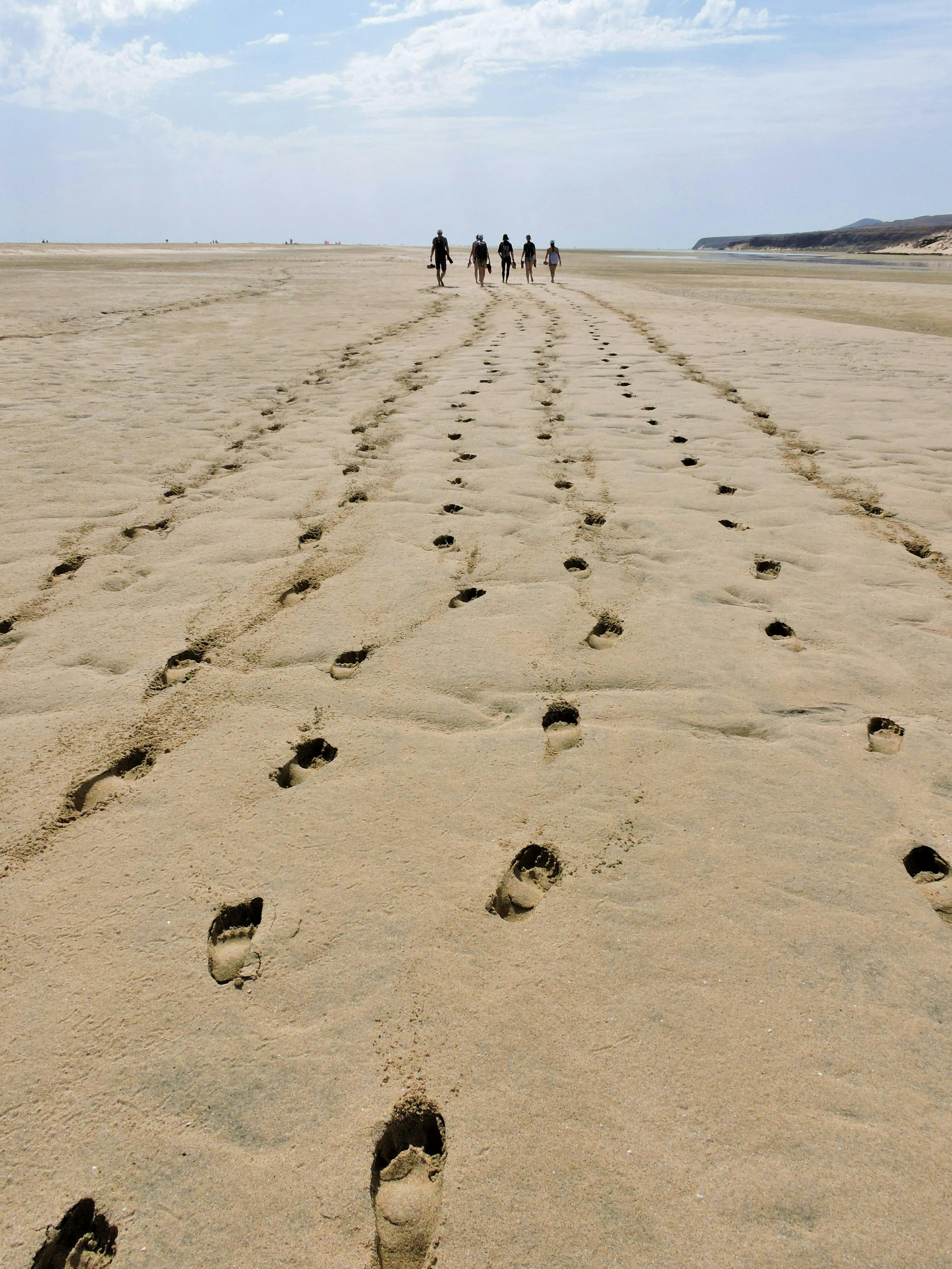 Single Foot Print on the Sand · Free Stock Photo
