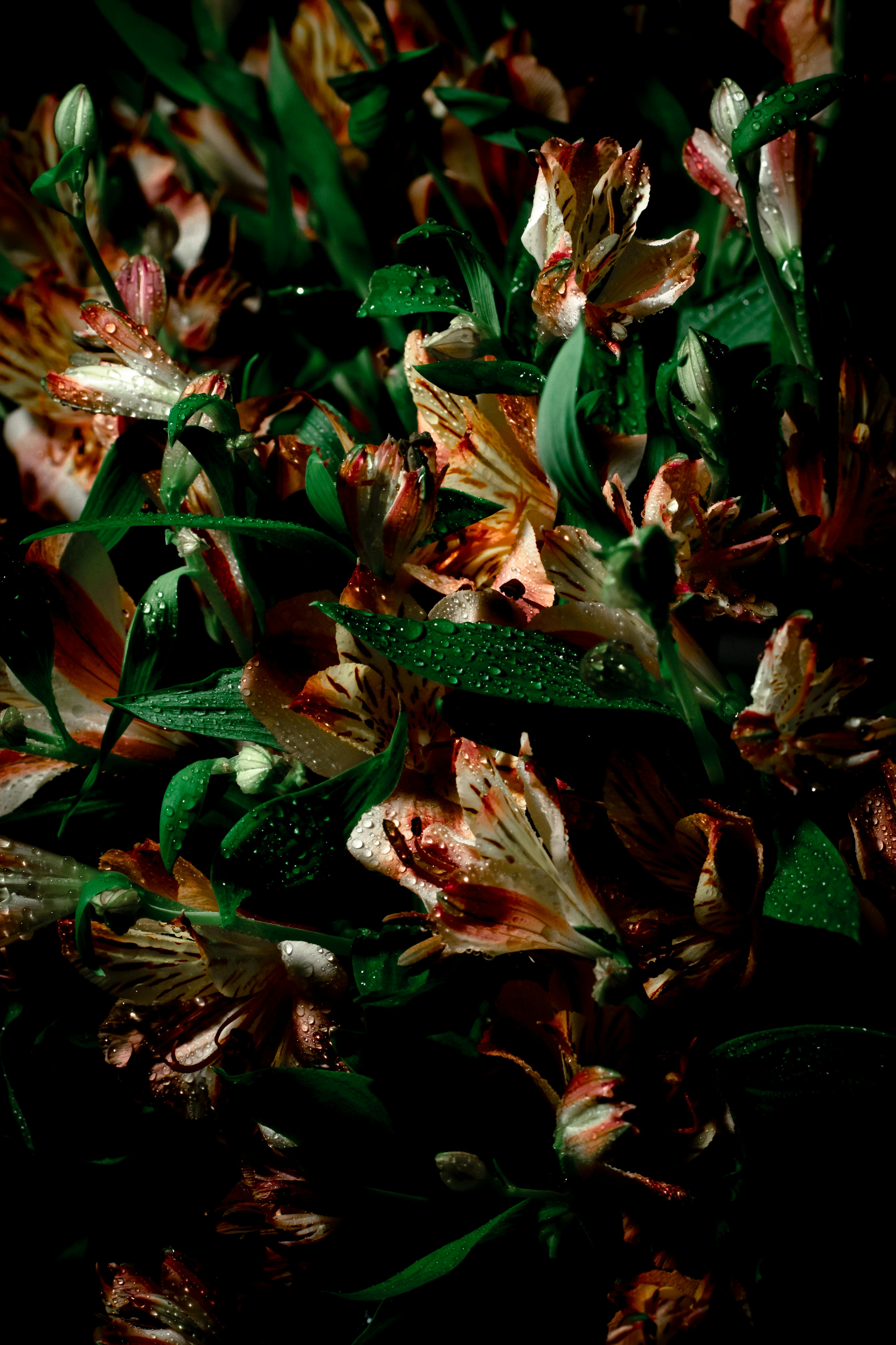 Edgar Lara - Fotografie