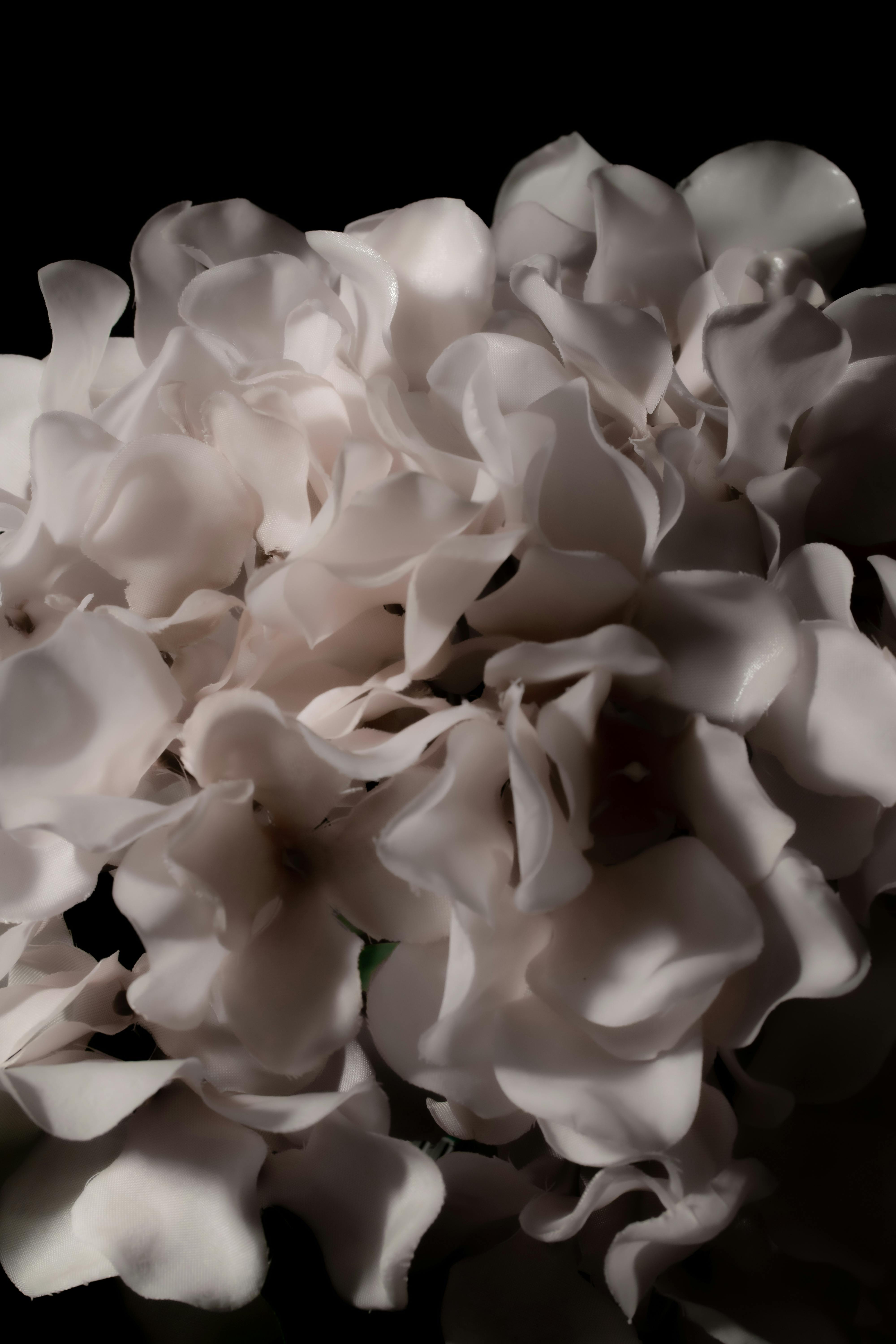 Edgar Lara - Fotografie