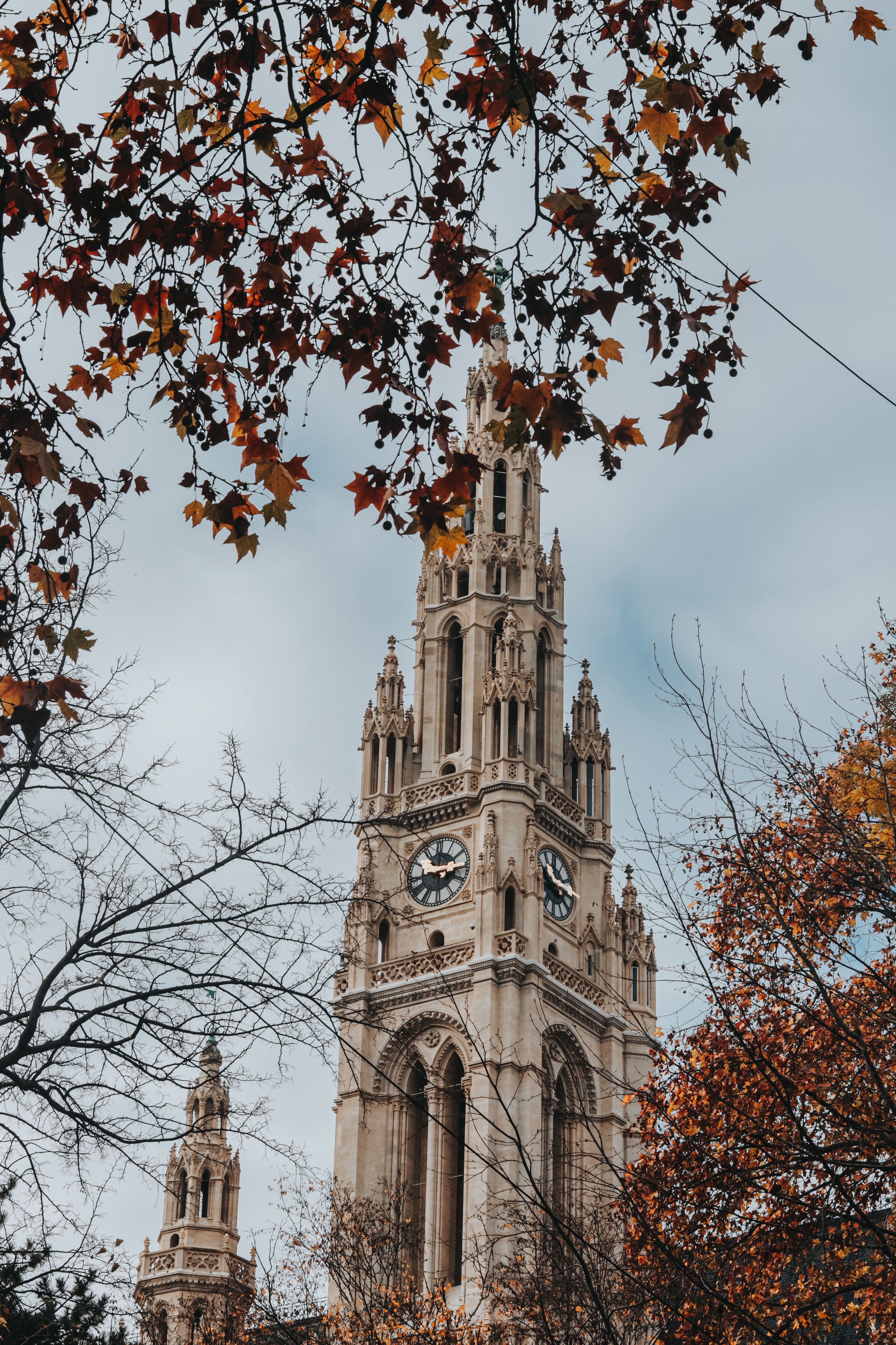 Old Gothic Building Tower against Blue Sky · Free Stock Photo