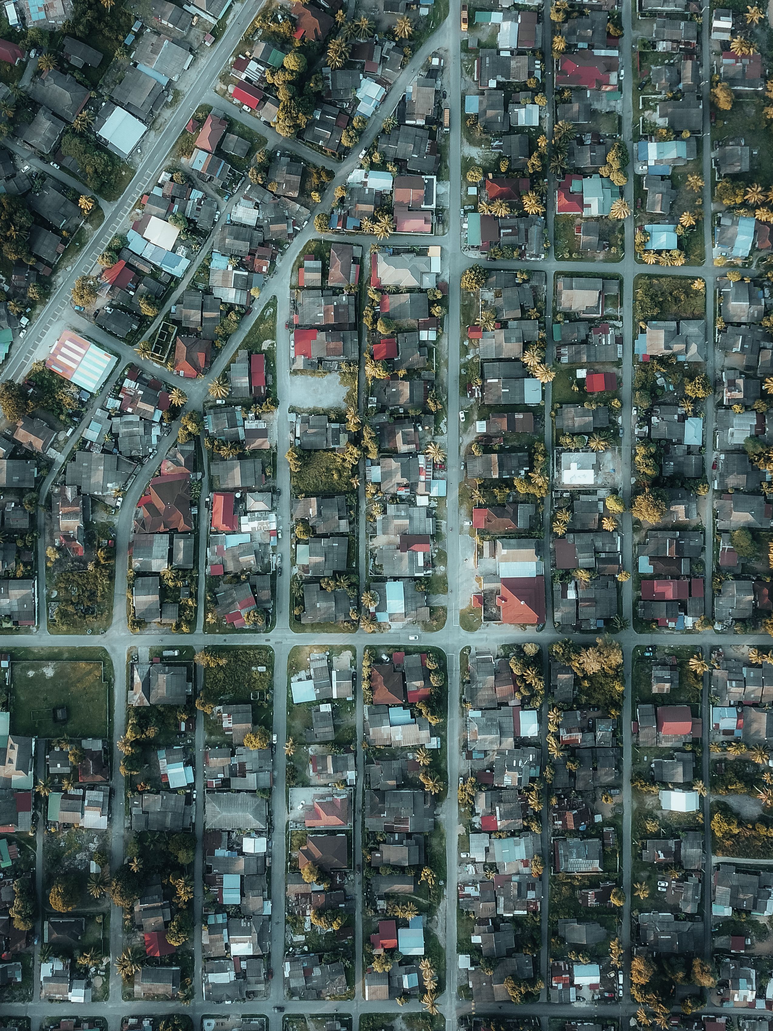 Aerial View of Serpent Road in Forest · Free Stock Photo