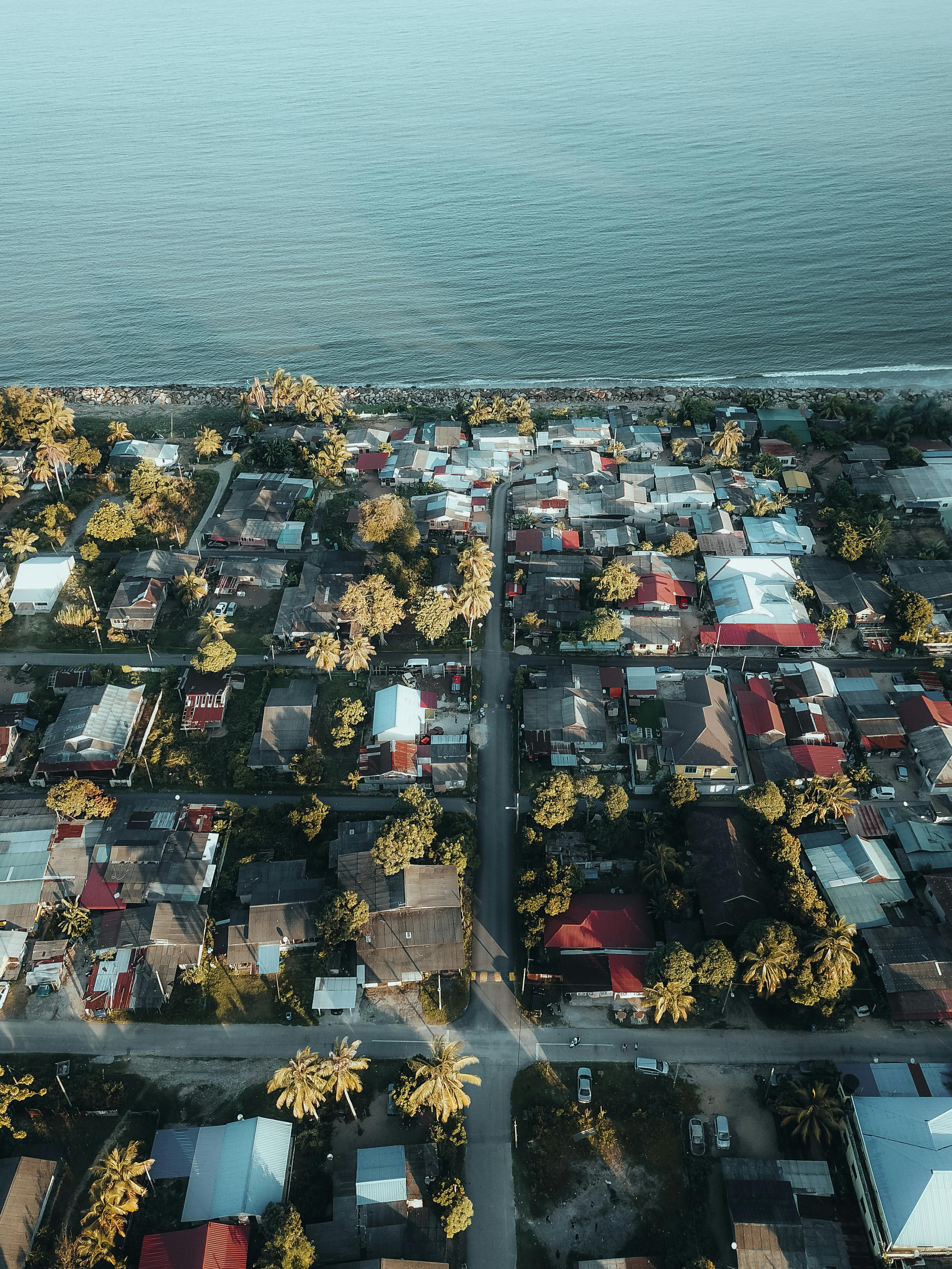 Birds Eye View of a City and Sea · Free Stock Photo