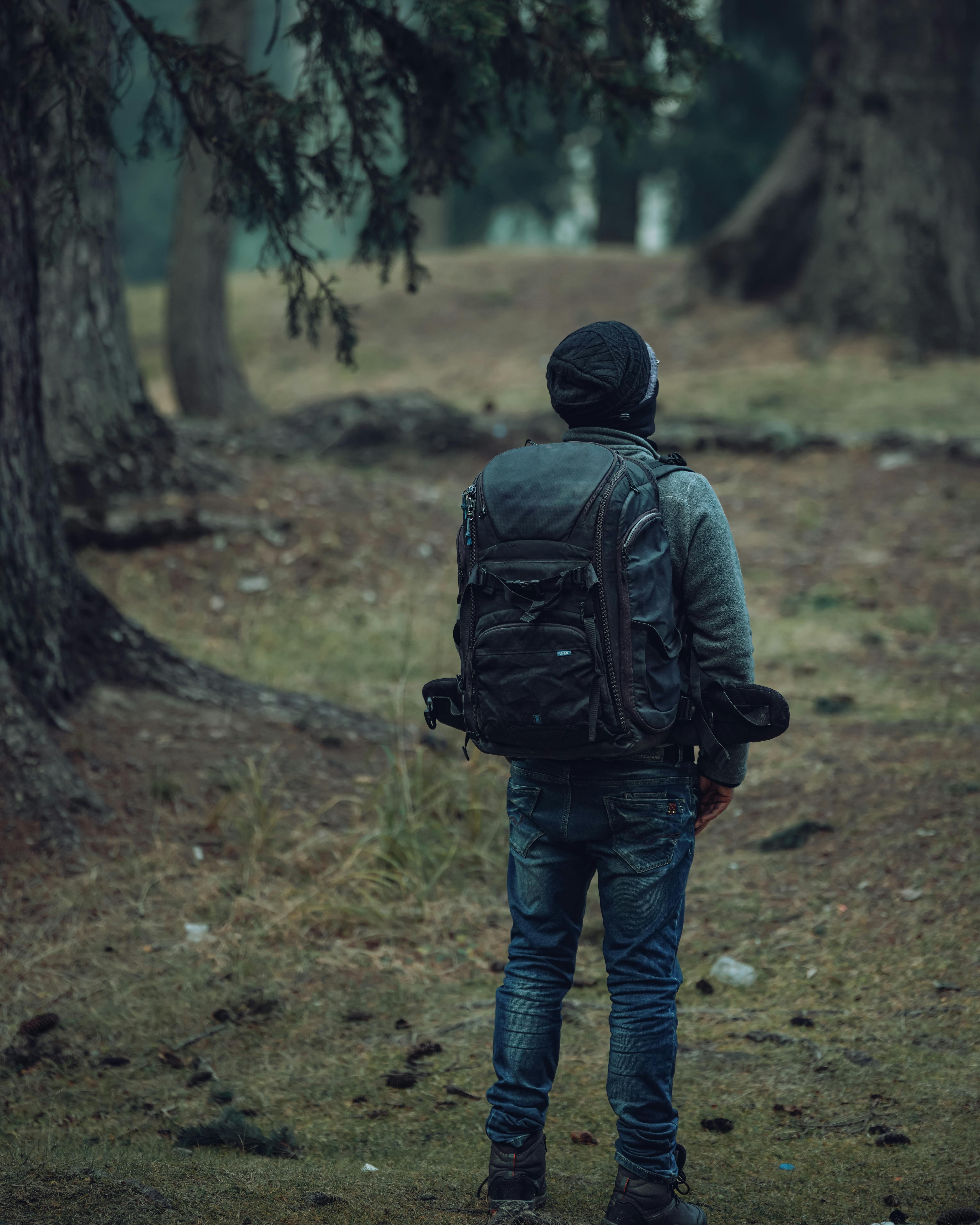 Back View of a Man Standing in the Forest · Free Stock Photo