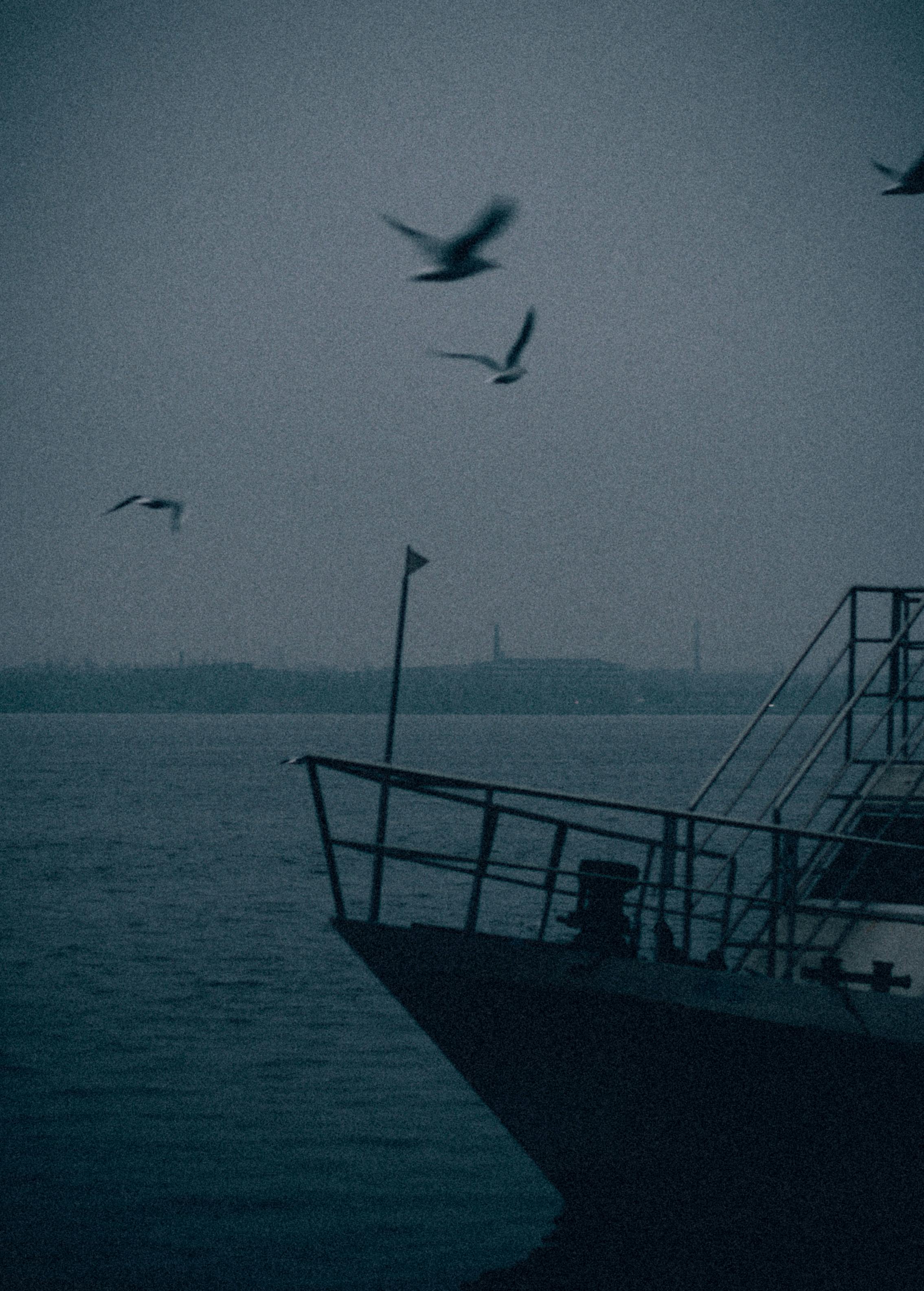 Mitya Parker - 摄影