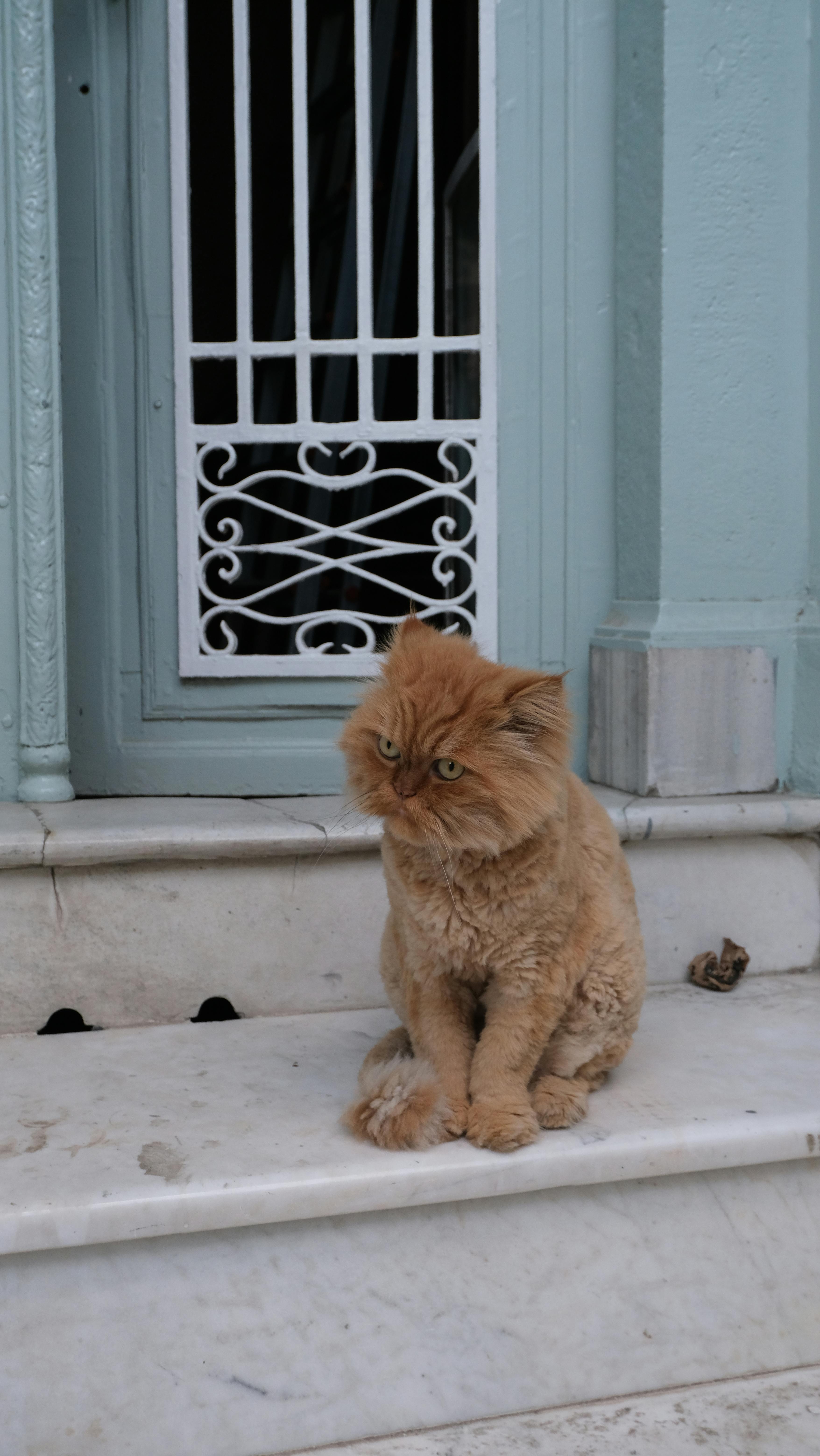 Small Steps Photos, Download The BEST Free Small Steps Stock Photos ...