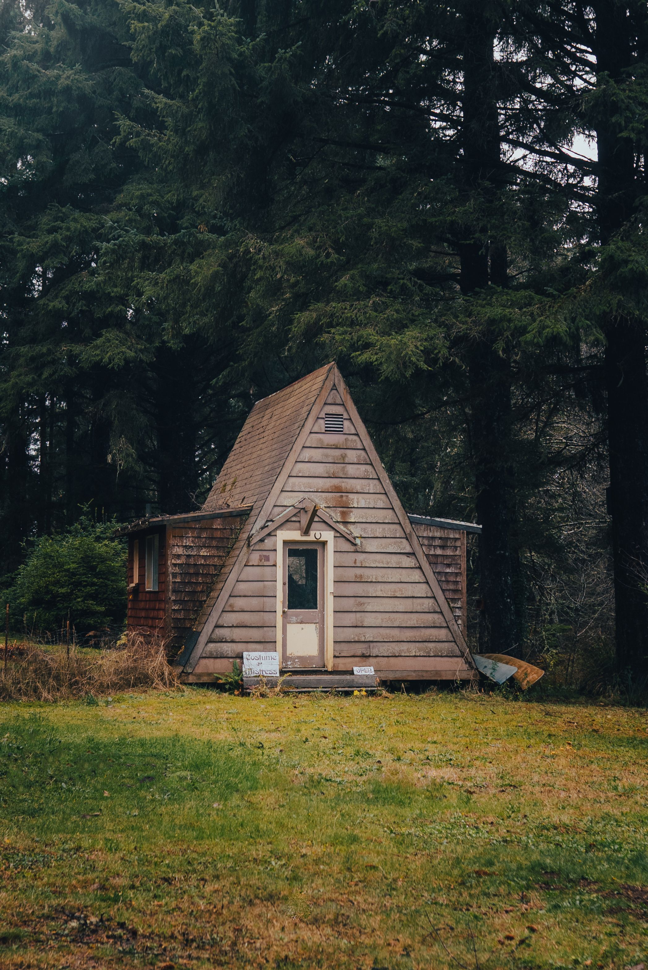 Chalet in Forest · Free Stock Photo