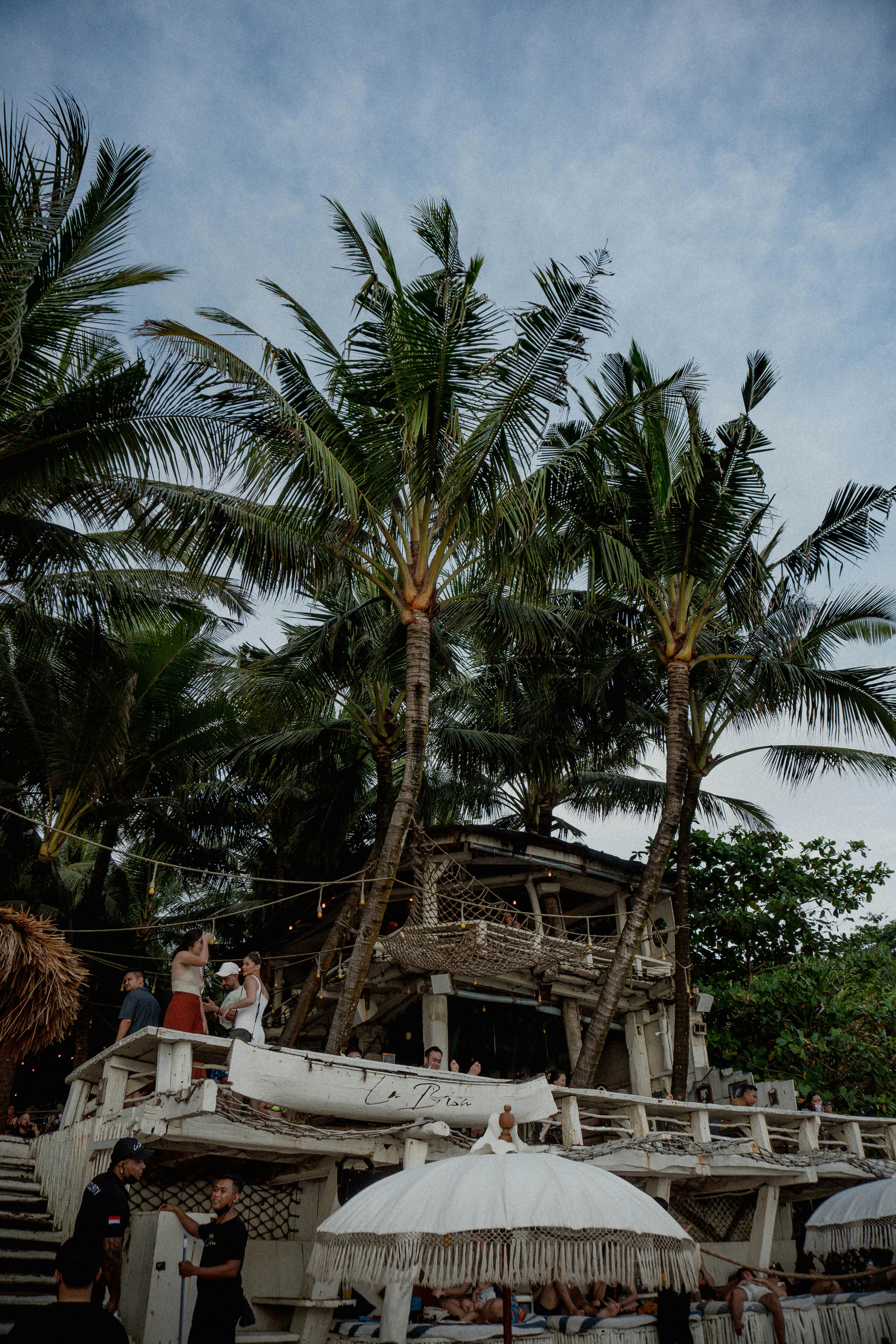 Photo of a Hut and Palm Trees · Free Stock Photo