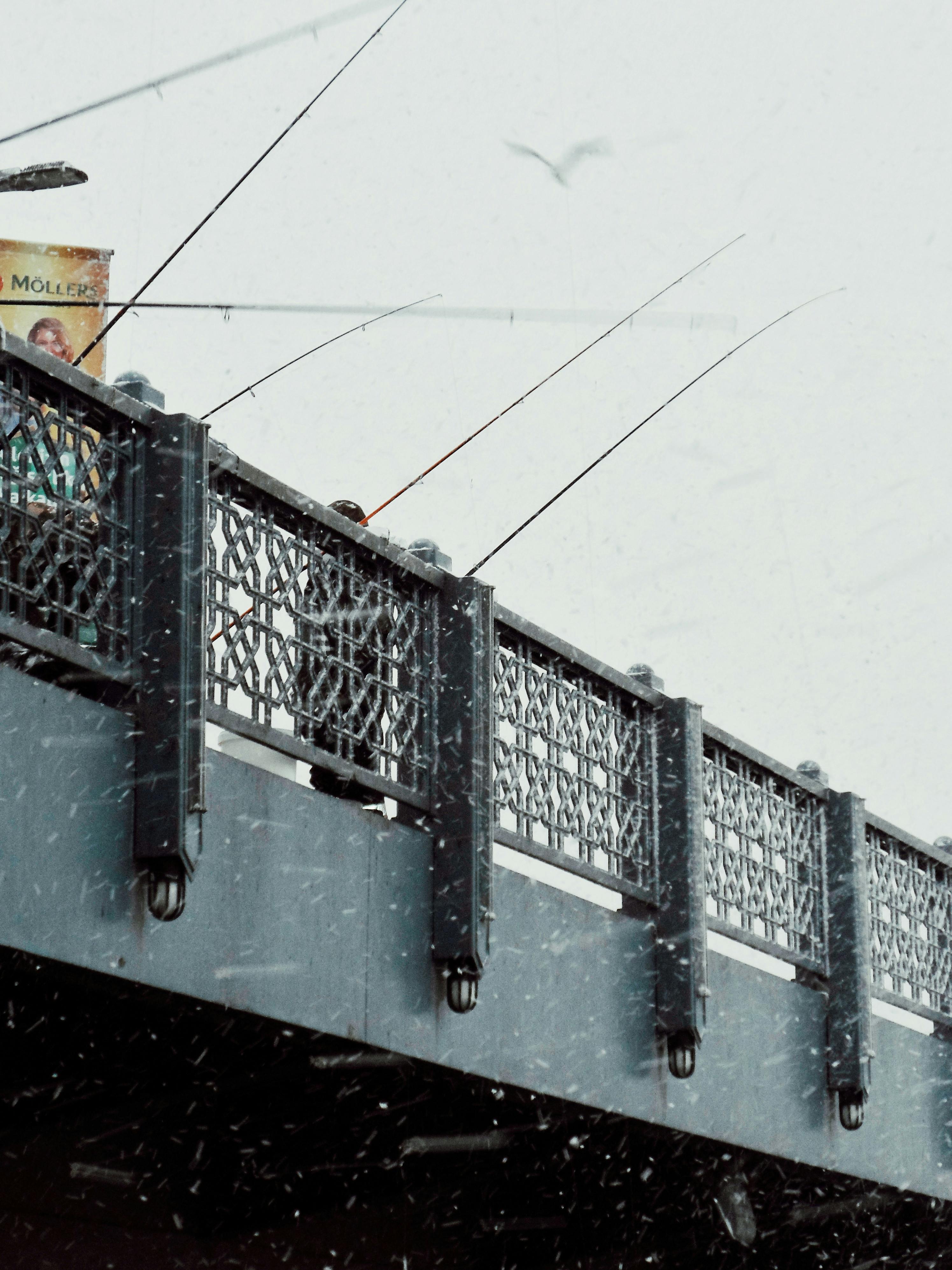 Anglers Fishing from a Bridge · Free Stock Photo