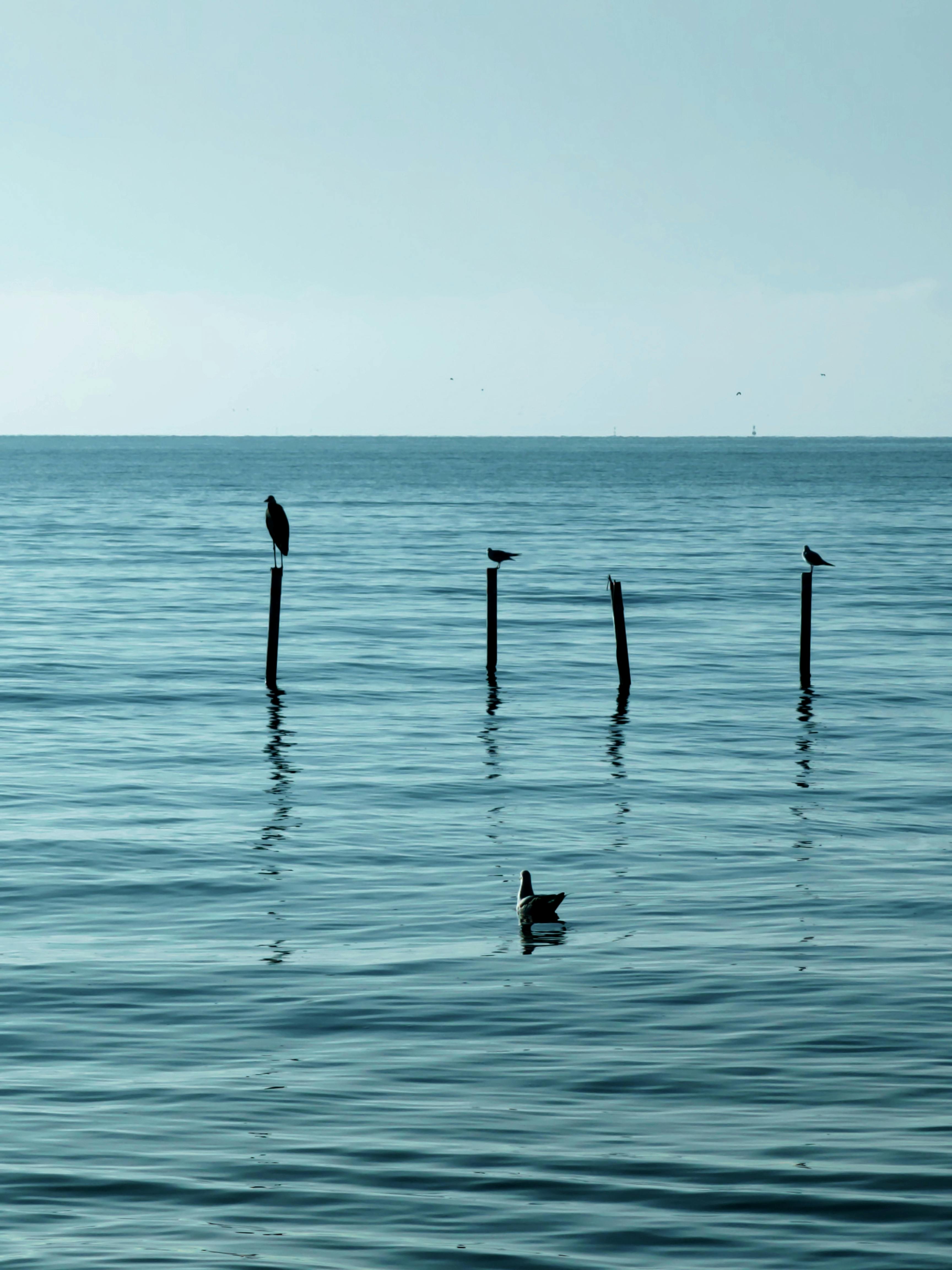 Water Clashing Photos, Download The BEST Free Water Clashing Stock ...