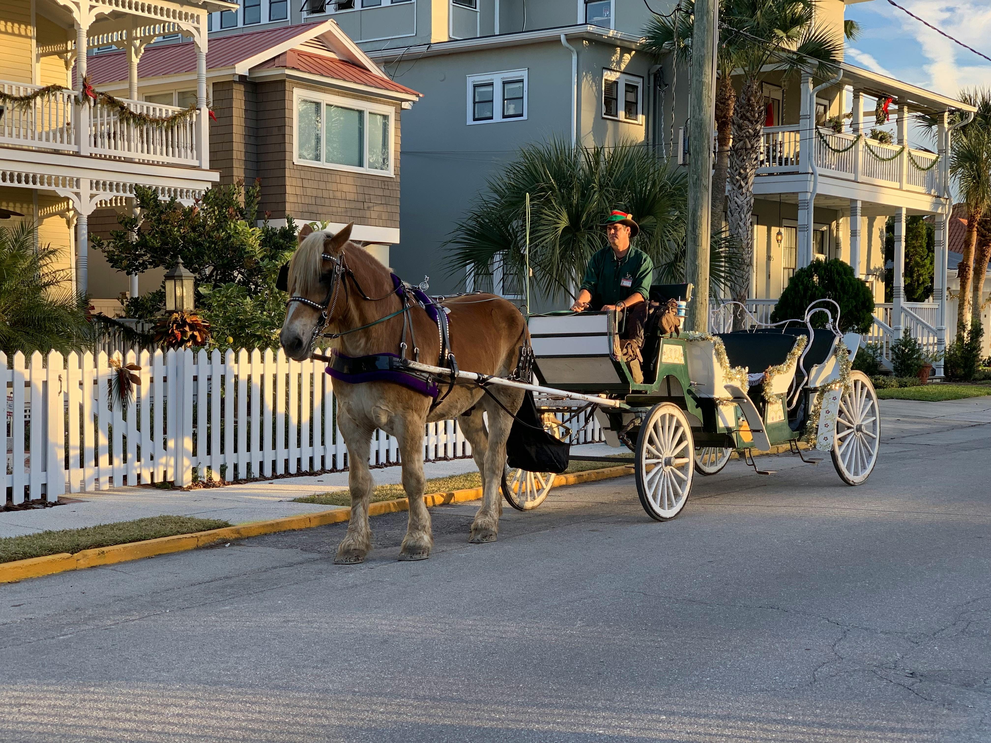 Horse Cart in Town · Free Stock Photo