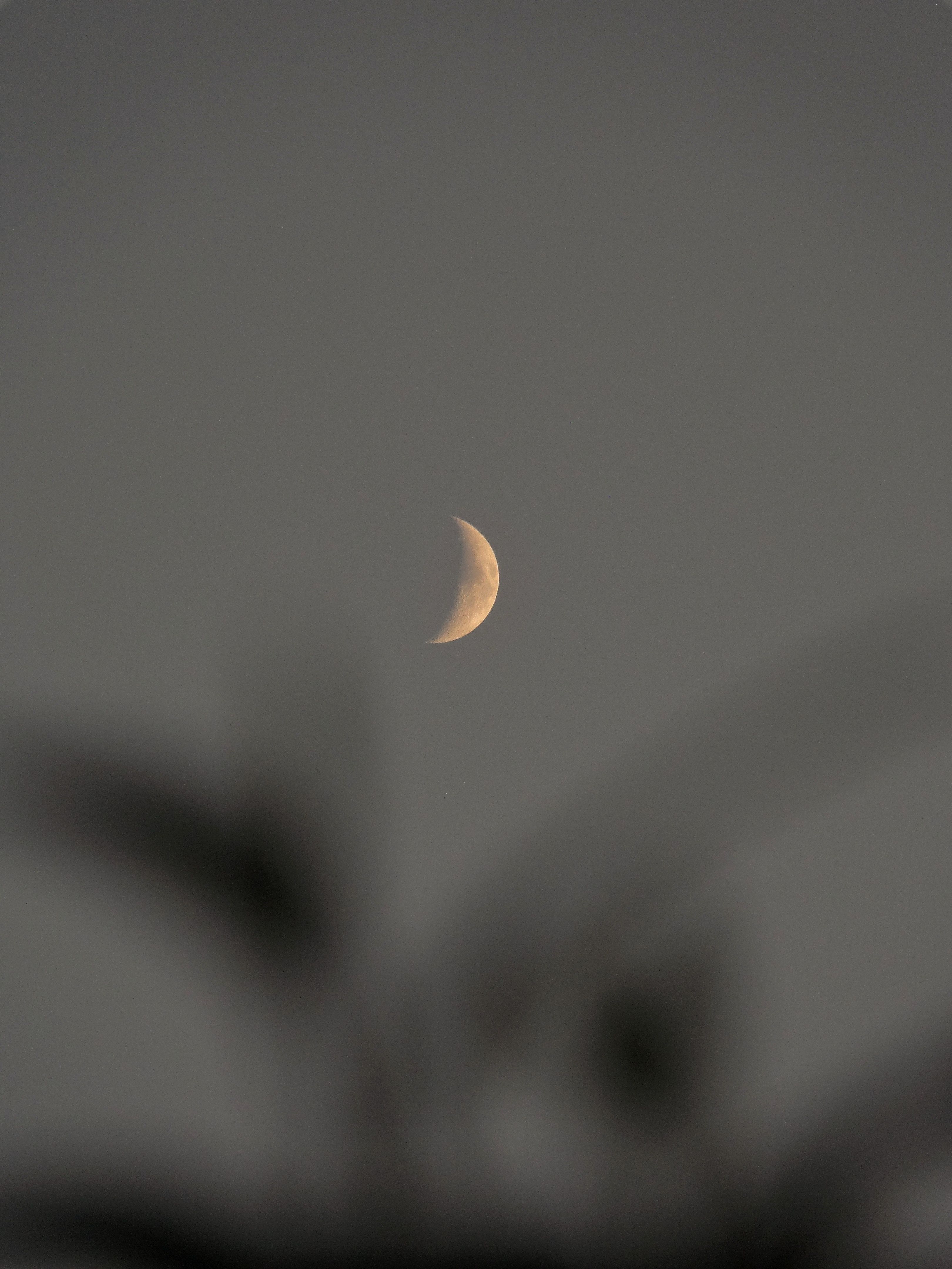 A Half Moon in the Grey Sky · Free Stock Photo