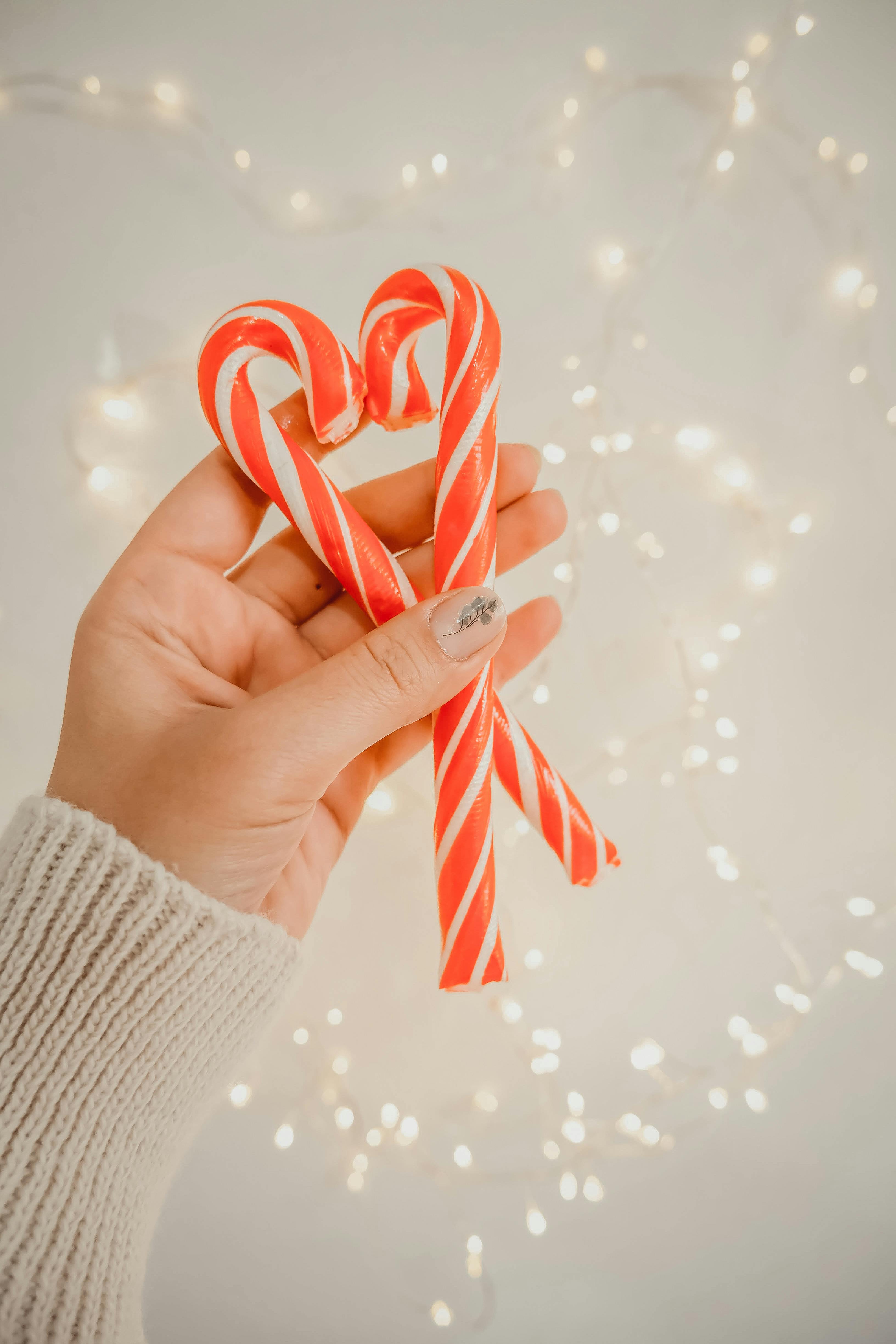 Person Holding Candy Canes · Free Stock Photo