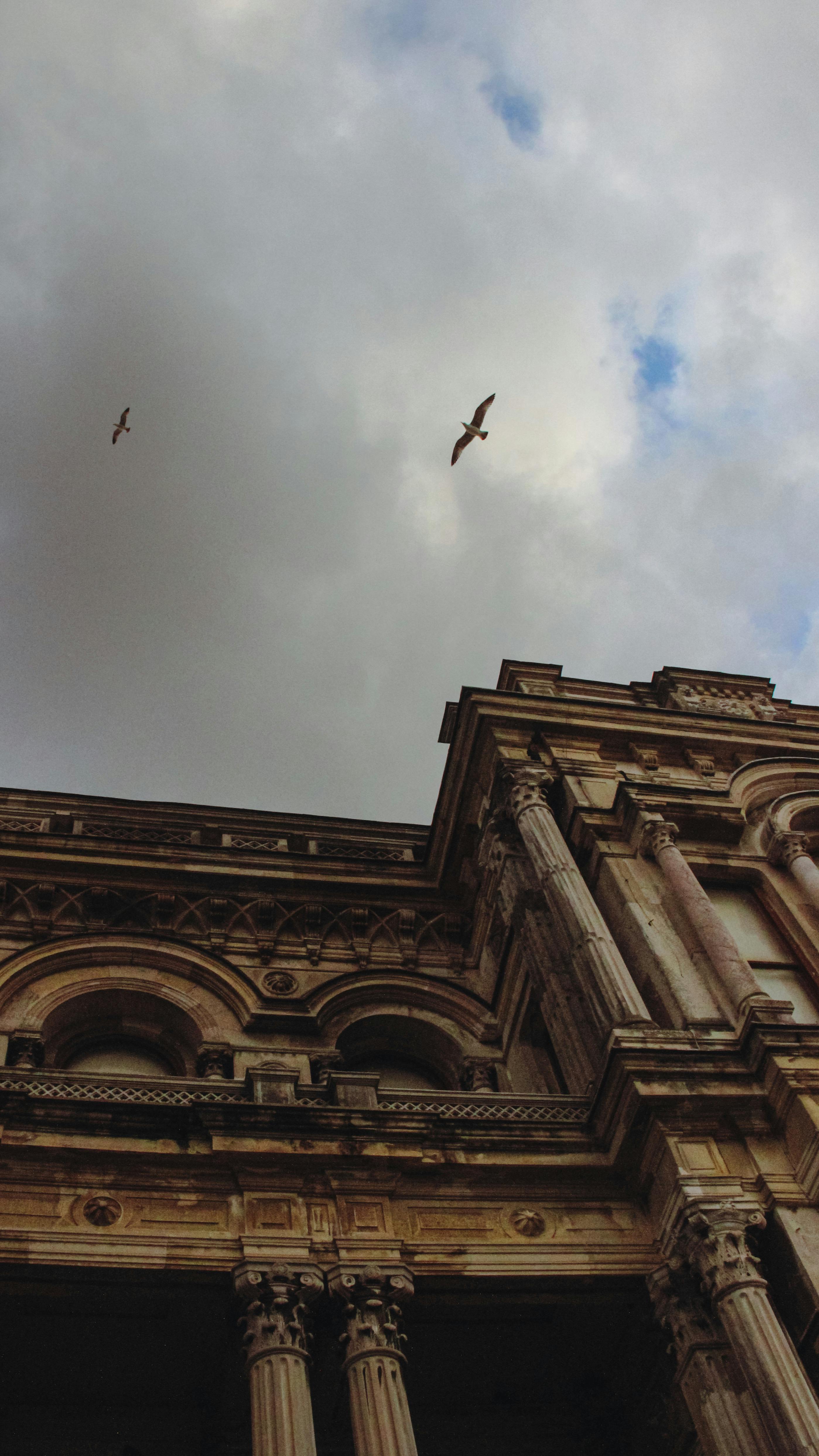 Birds Flying in Sky above Old Historic Building · Free Stock Photo