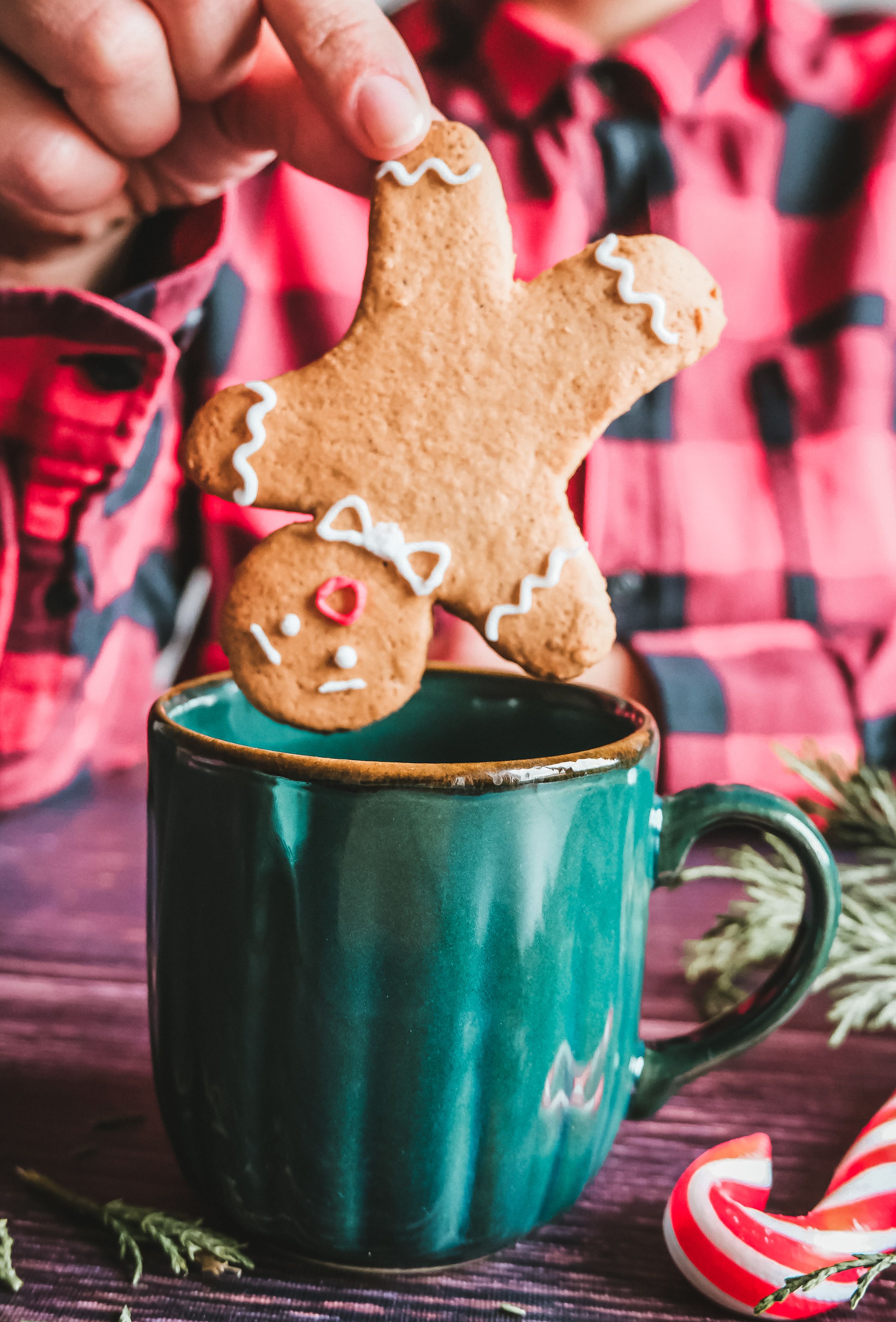 Close-up of Person Eating Gingerbread Cookie with Hot Drink · Free ...