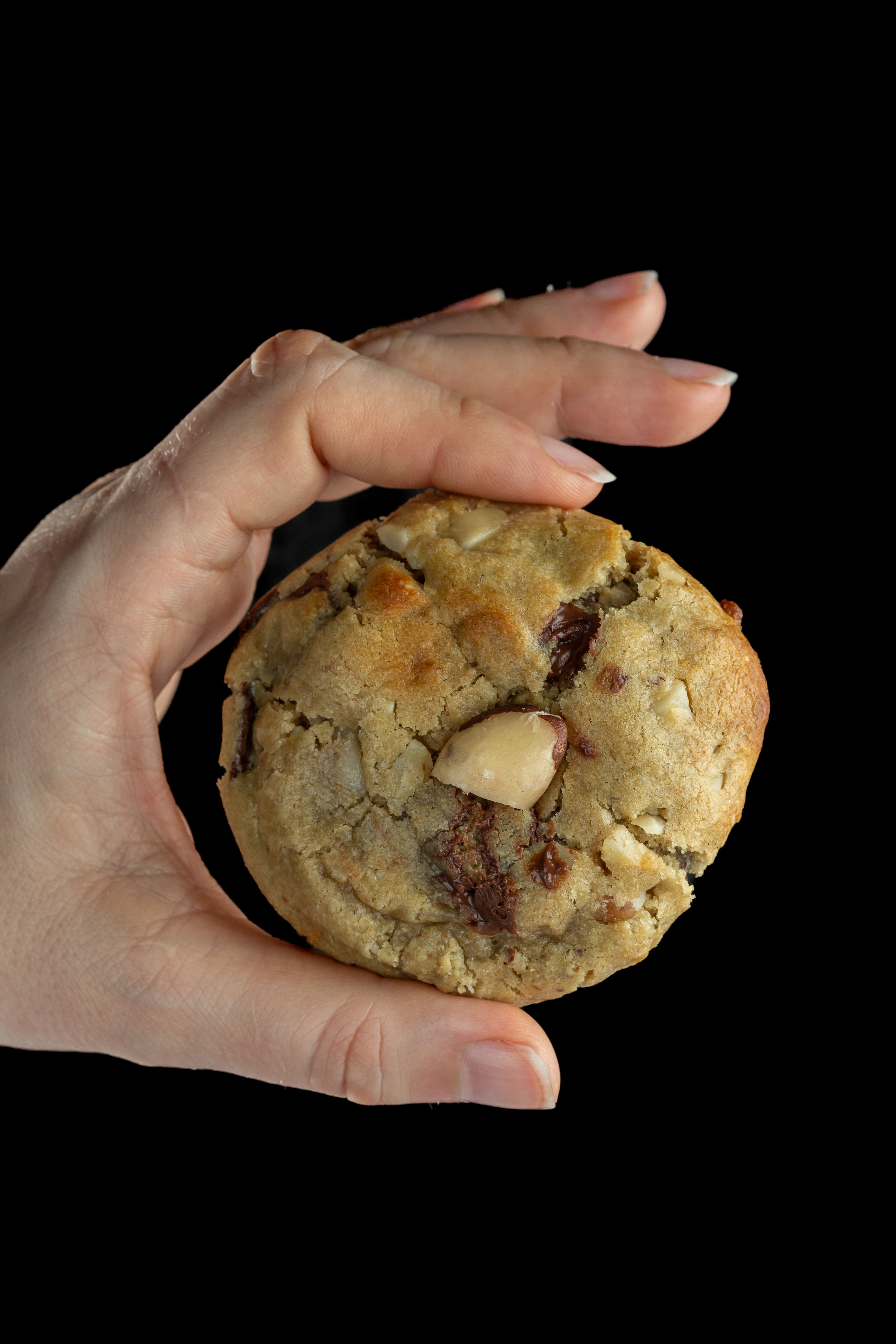 Hand Holding Cookie Photos, Download The BEST Free Hand Holding Cookie ...