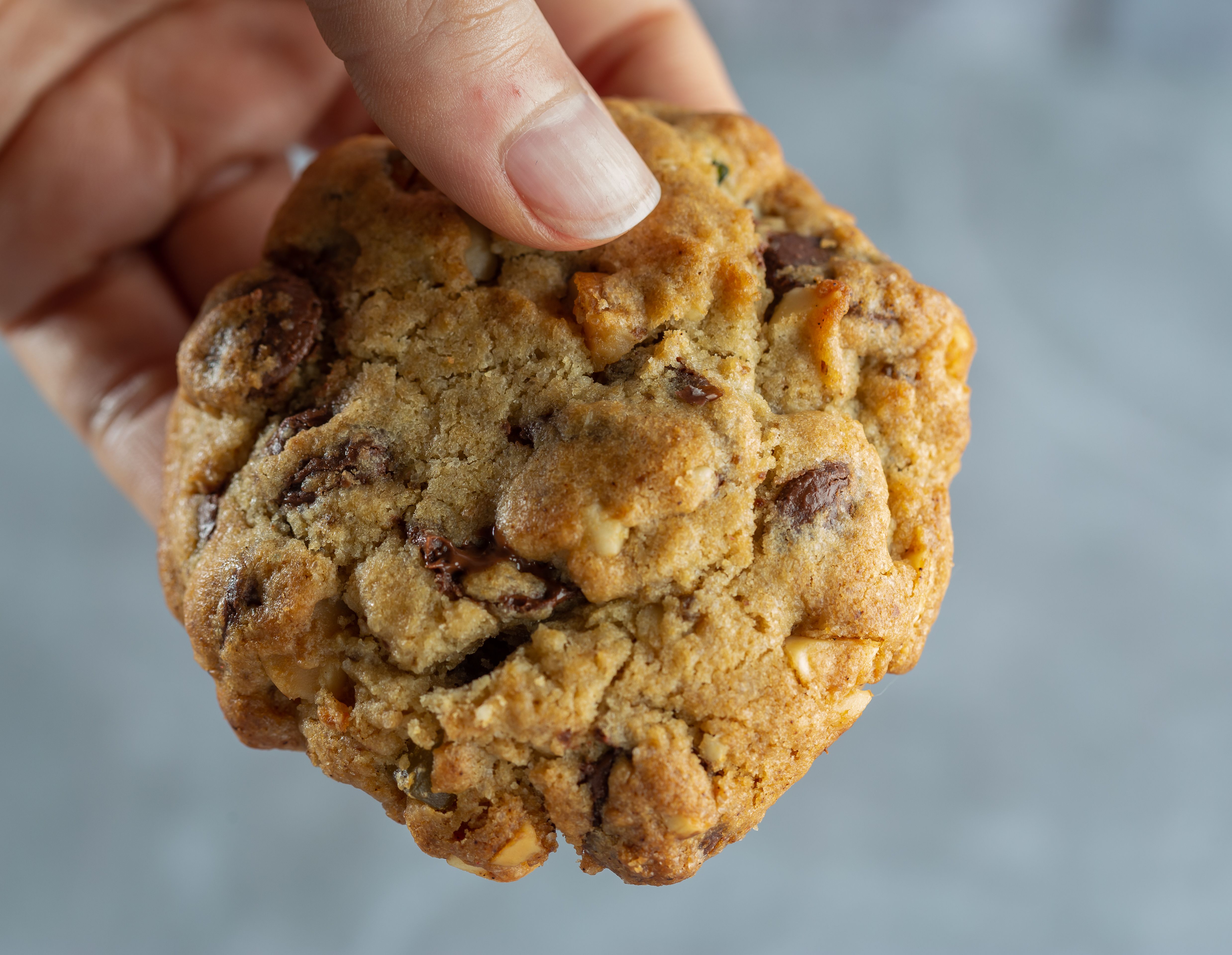 Person Dipping Cookie in Milk · Free Stock Photo