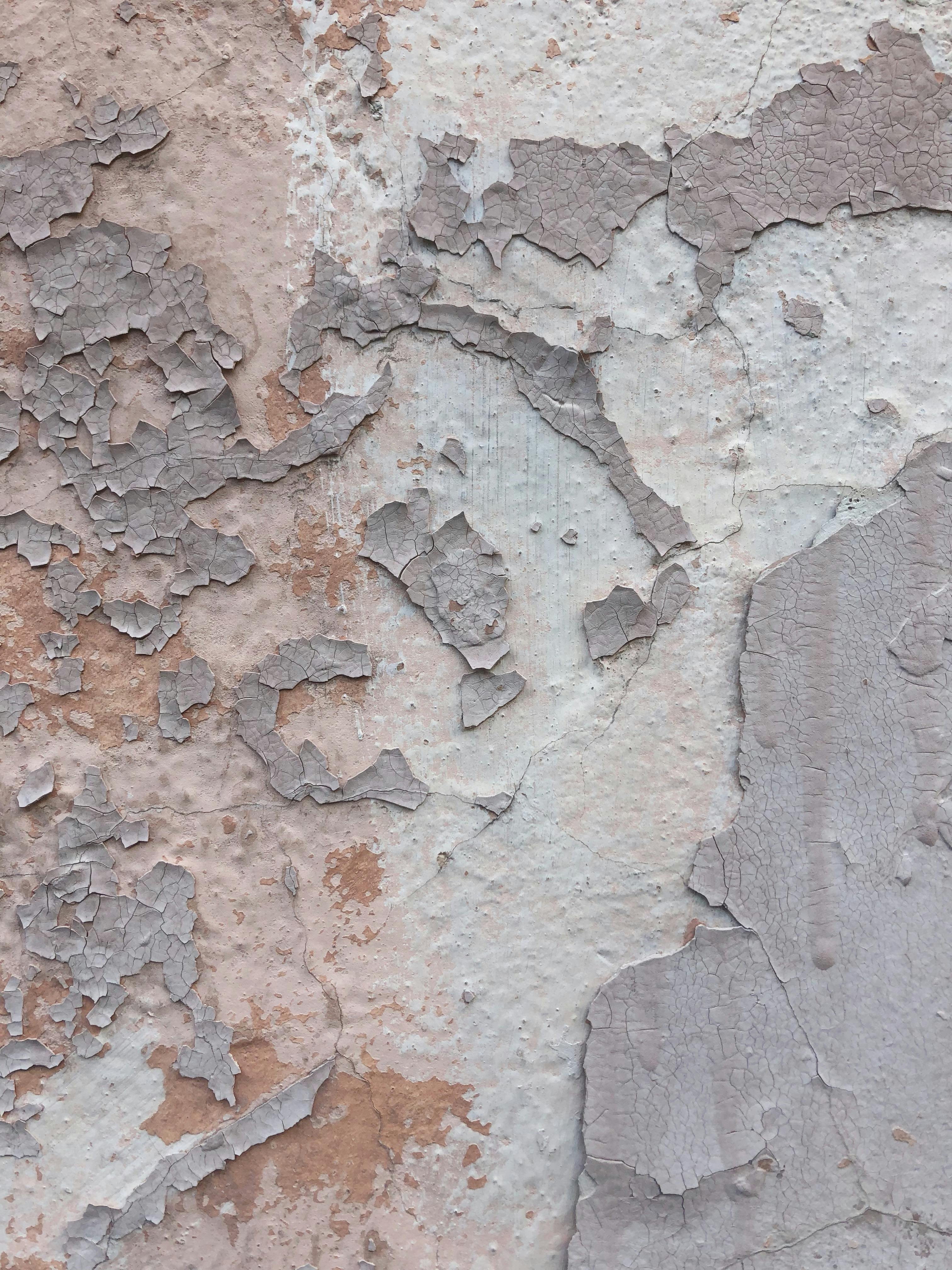 250+ Beautiful Rough Photos · Pexels · Free Stock Photos