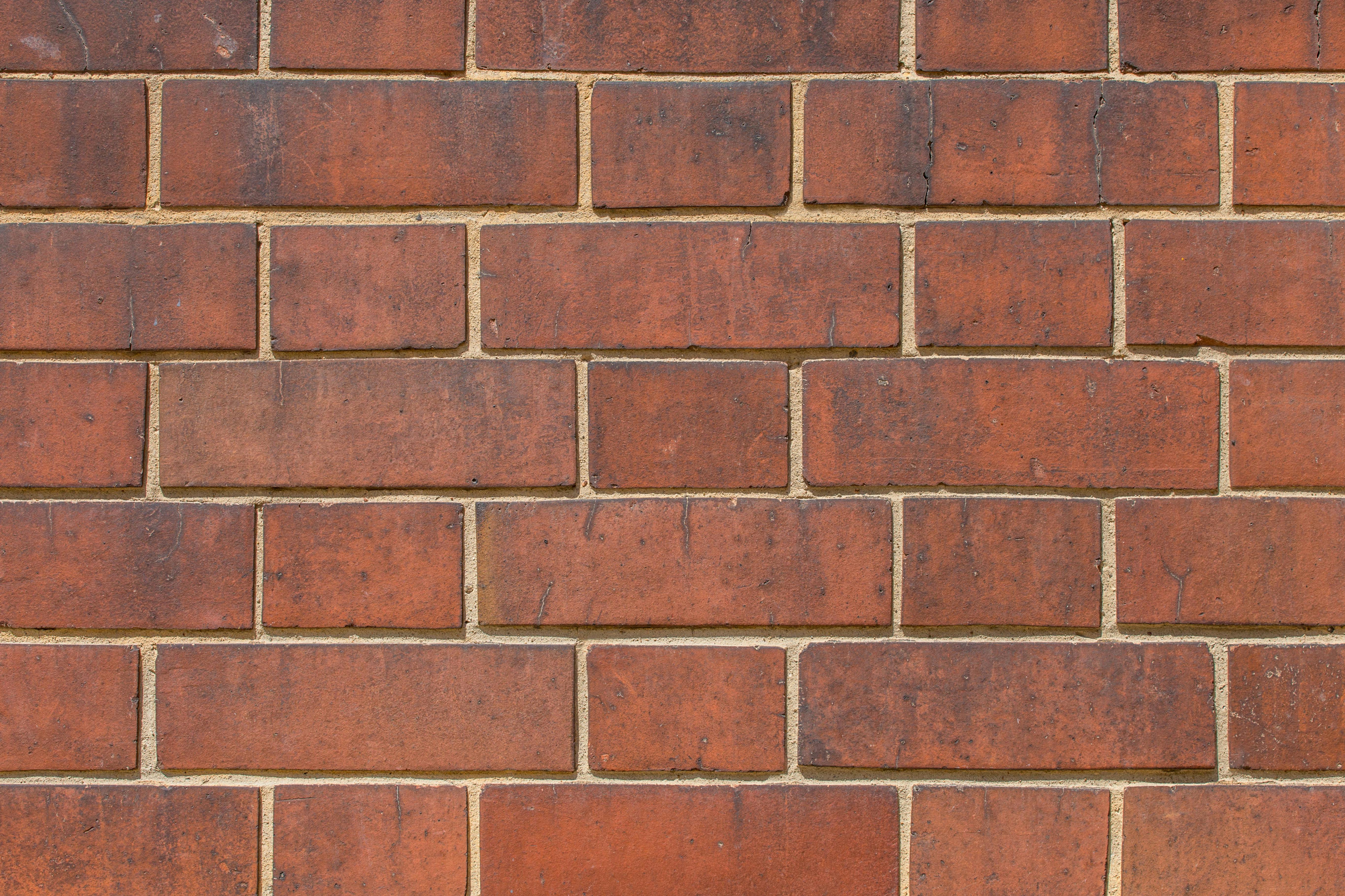 Surface of Bricks Wall · Free Stock Photo