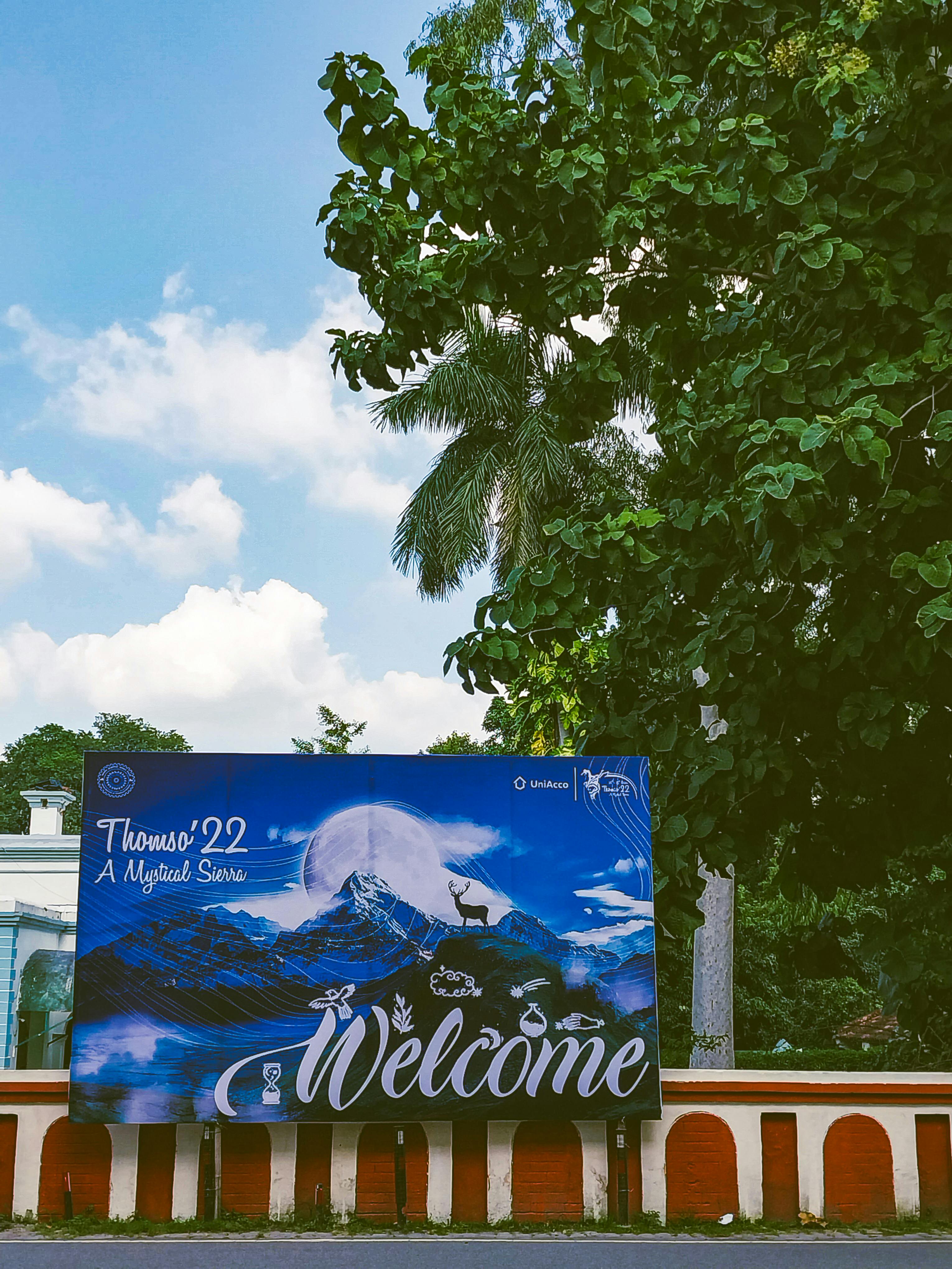 Amresh Gupta - 写真