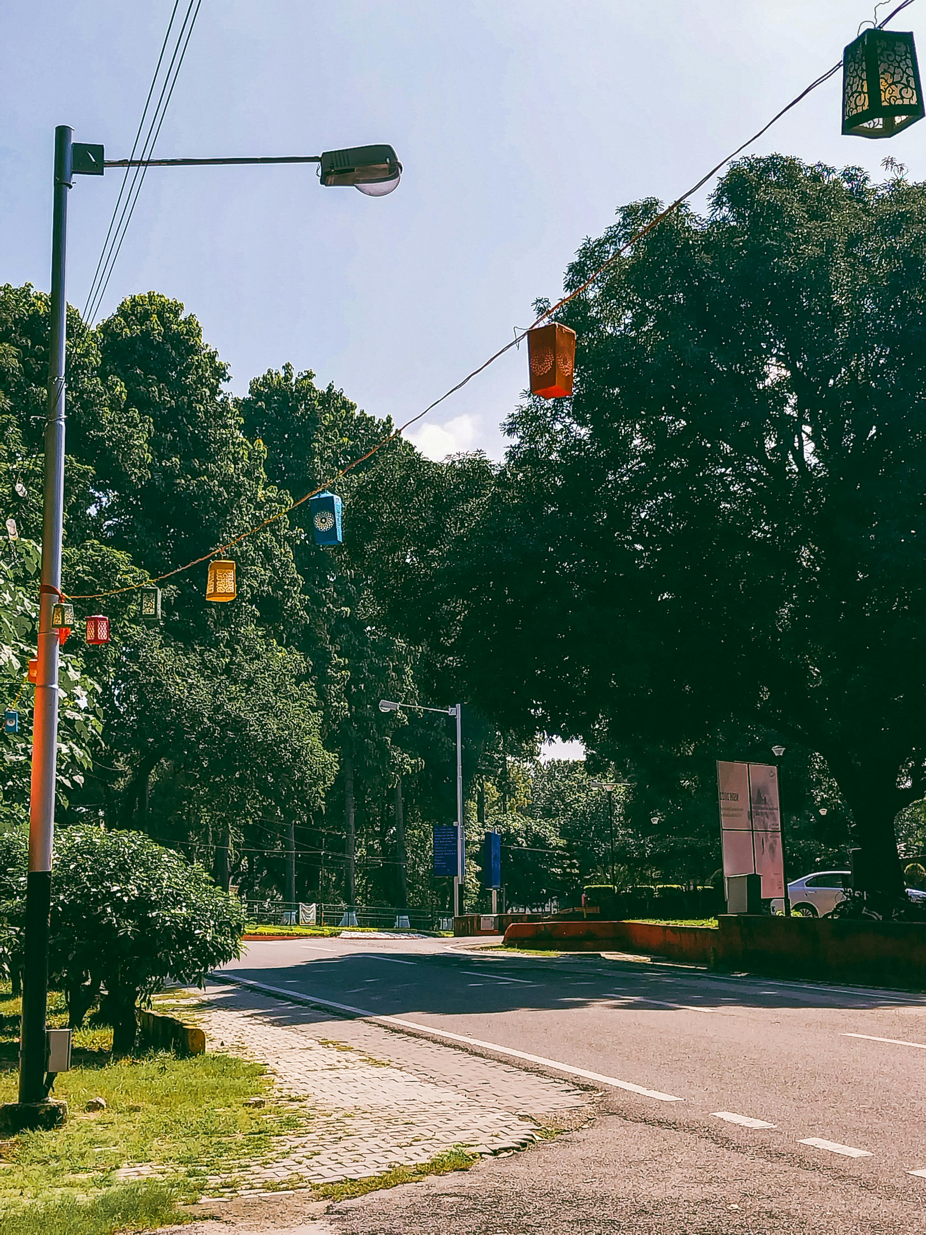 Amresh Gupta - Photography