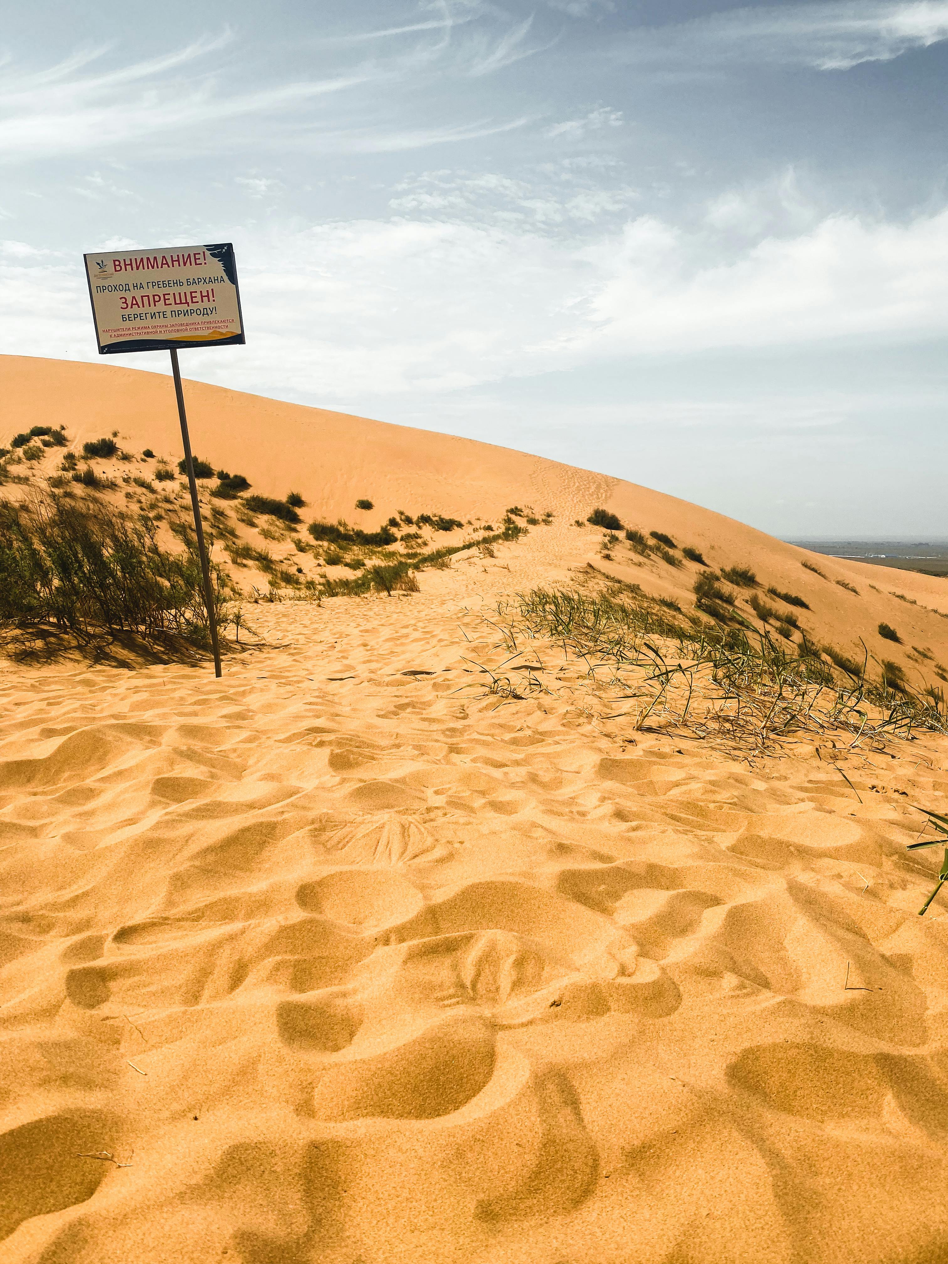 Warning Sign on Sand Beach · Free Stock Photo