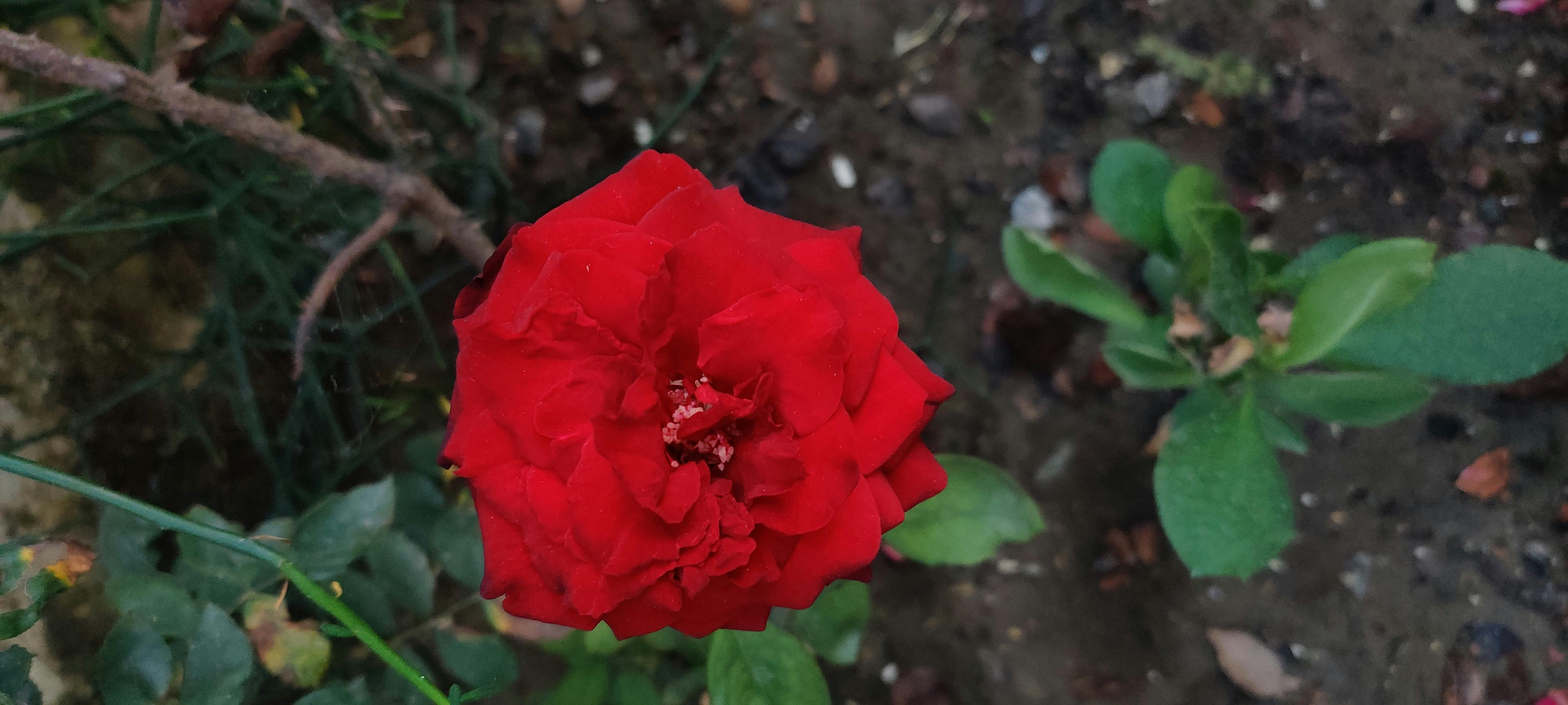 Gurveer Kaur – Fotografie