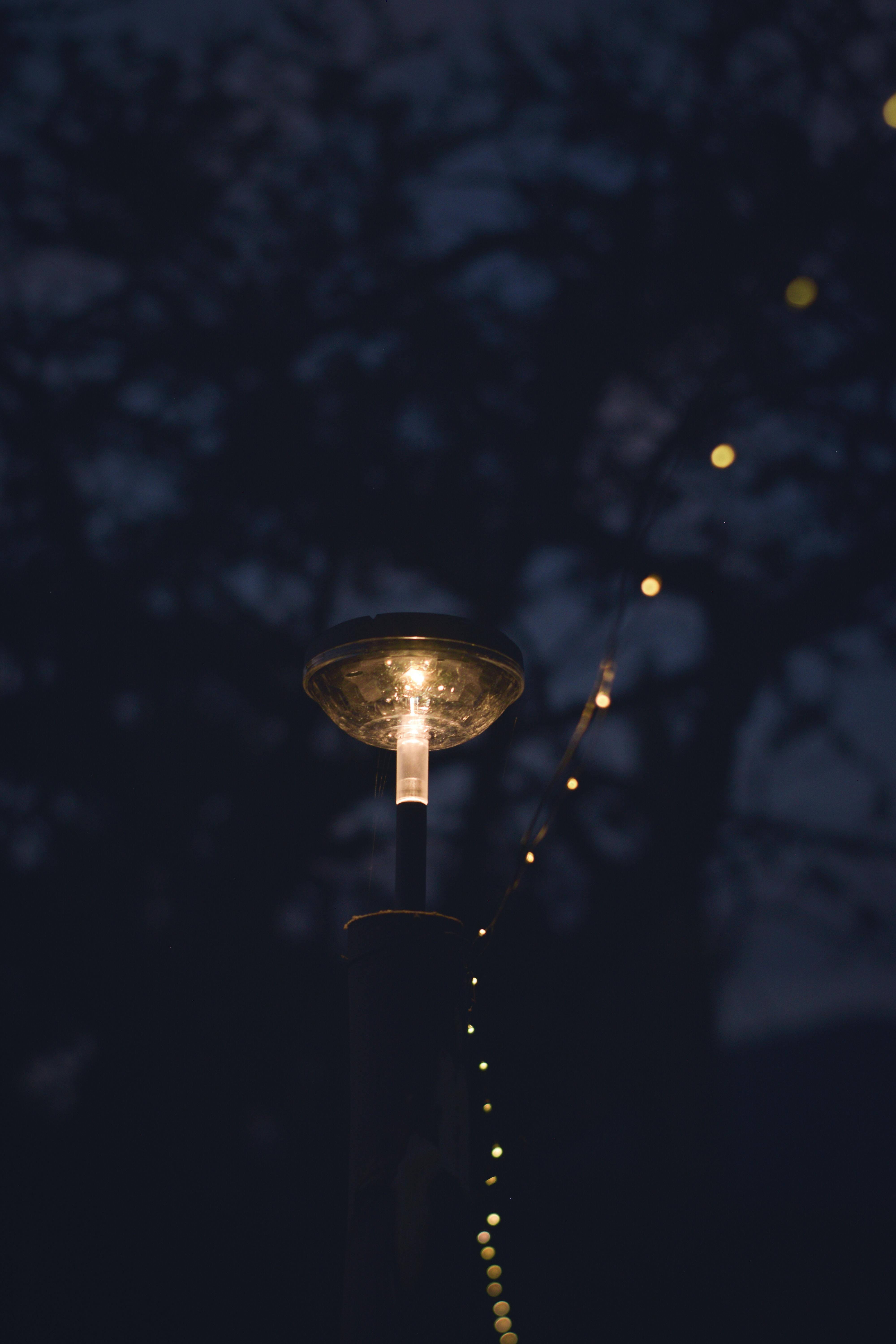 Street Lamp at Night · Free Stock Photo