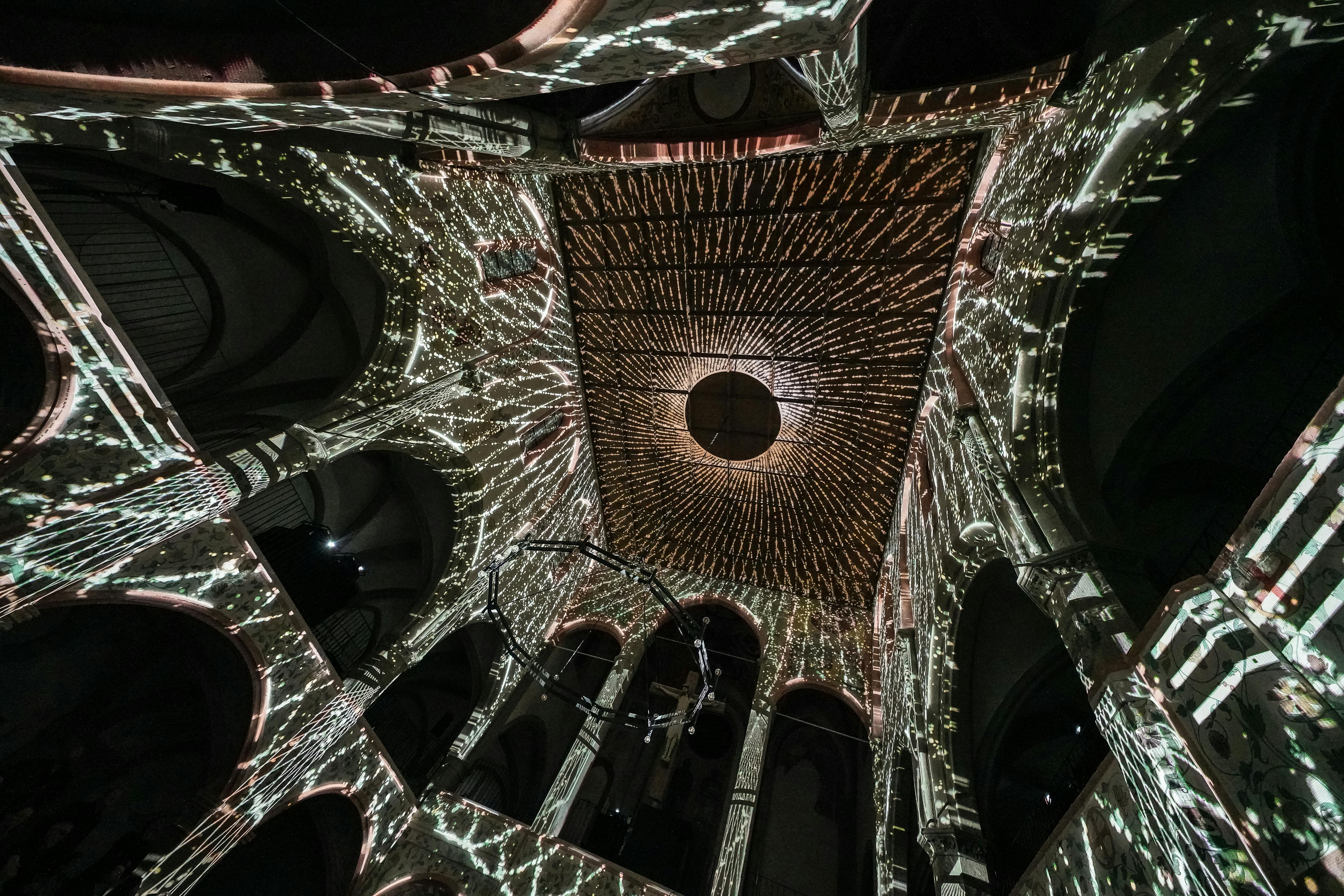 Peter Mayer - 写真