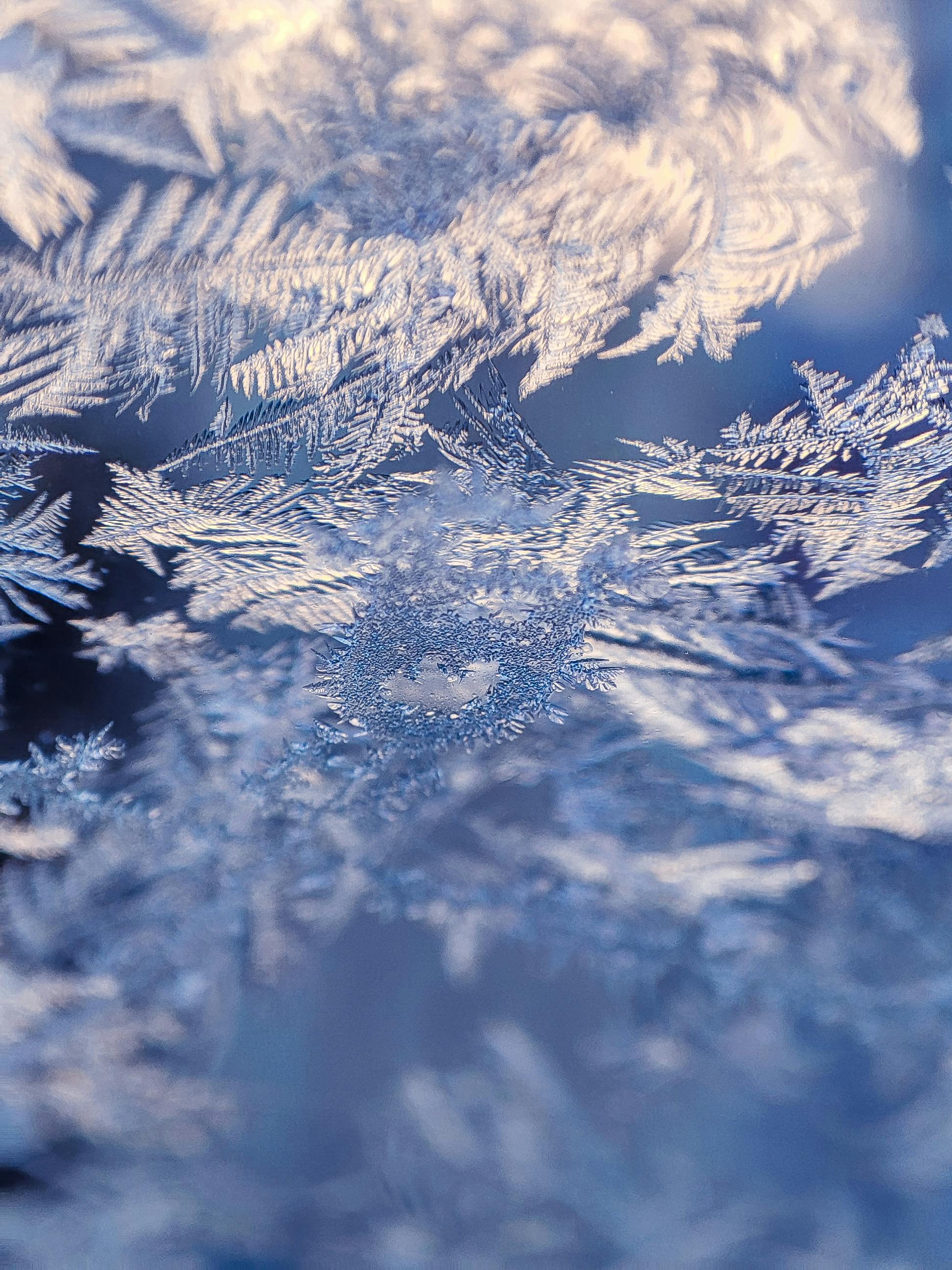 Frozen Tumblr Wallpapers