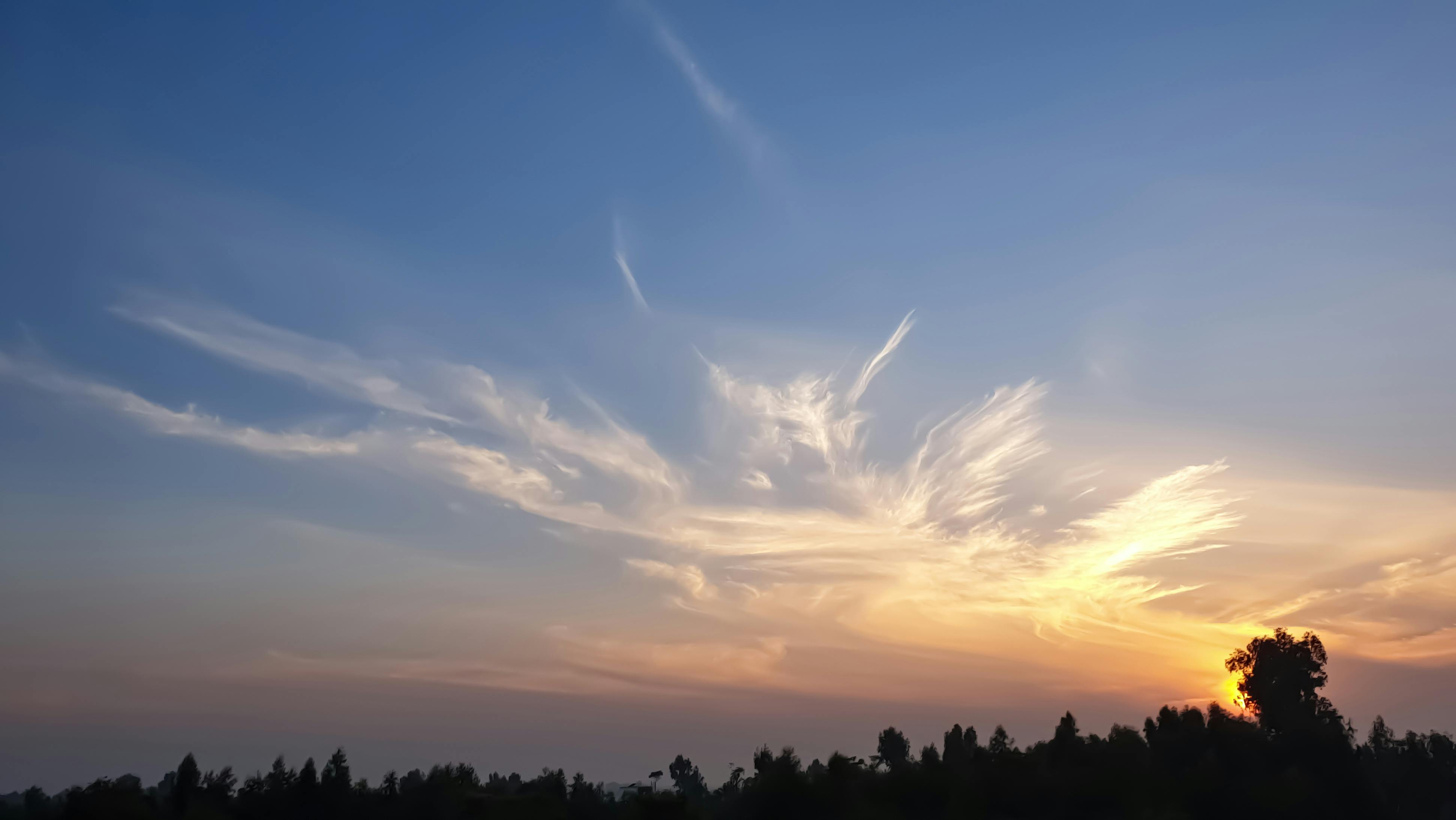 21 fotos y vídeos de Alpha Sunset guardados por Tanveer Khan