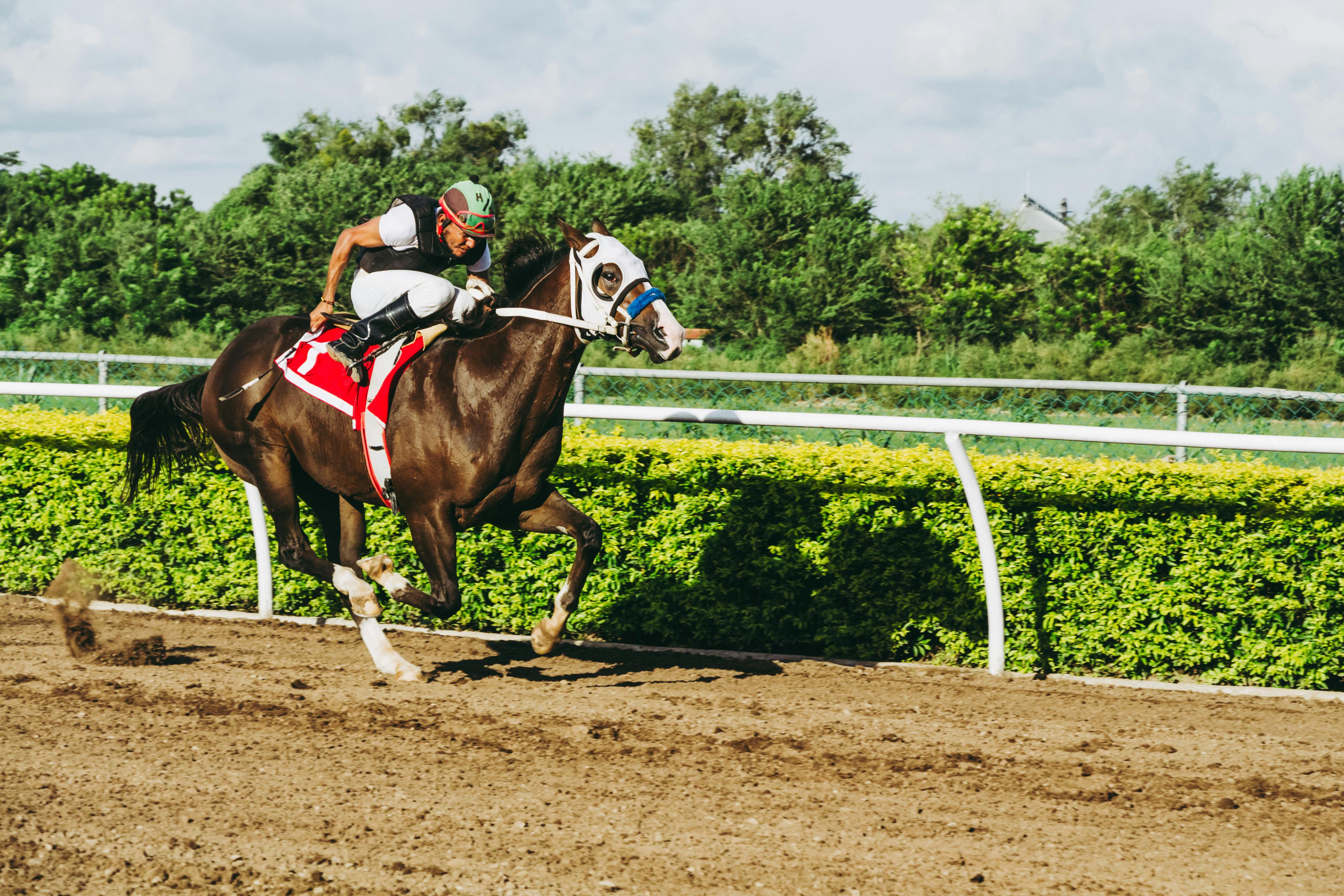 Running Horse Photos, Download The BEST Free Running Horse Stock Photos ...