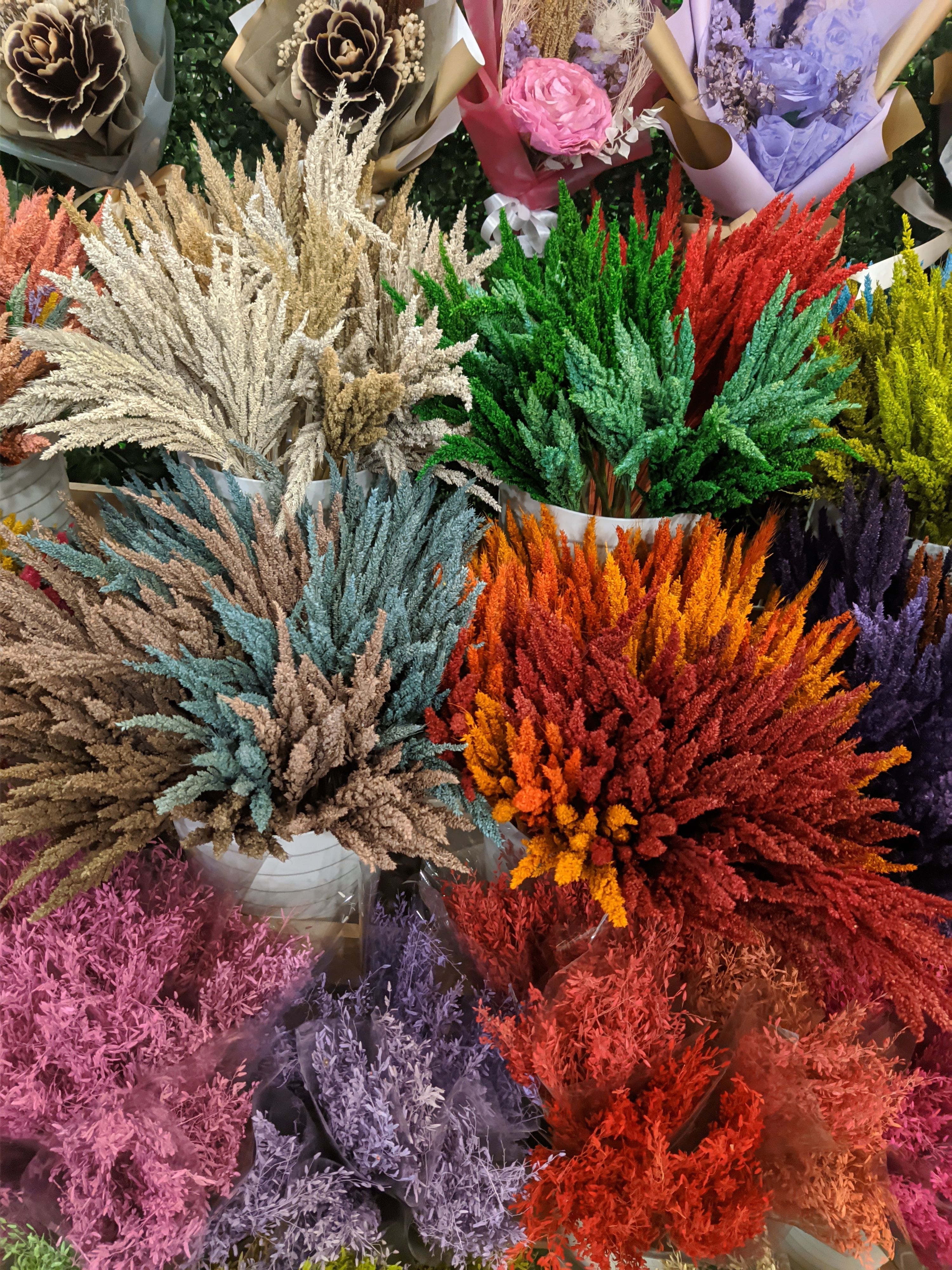 Colorful Plants on Sale · Free Stock Photo