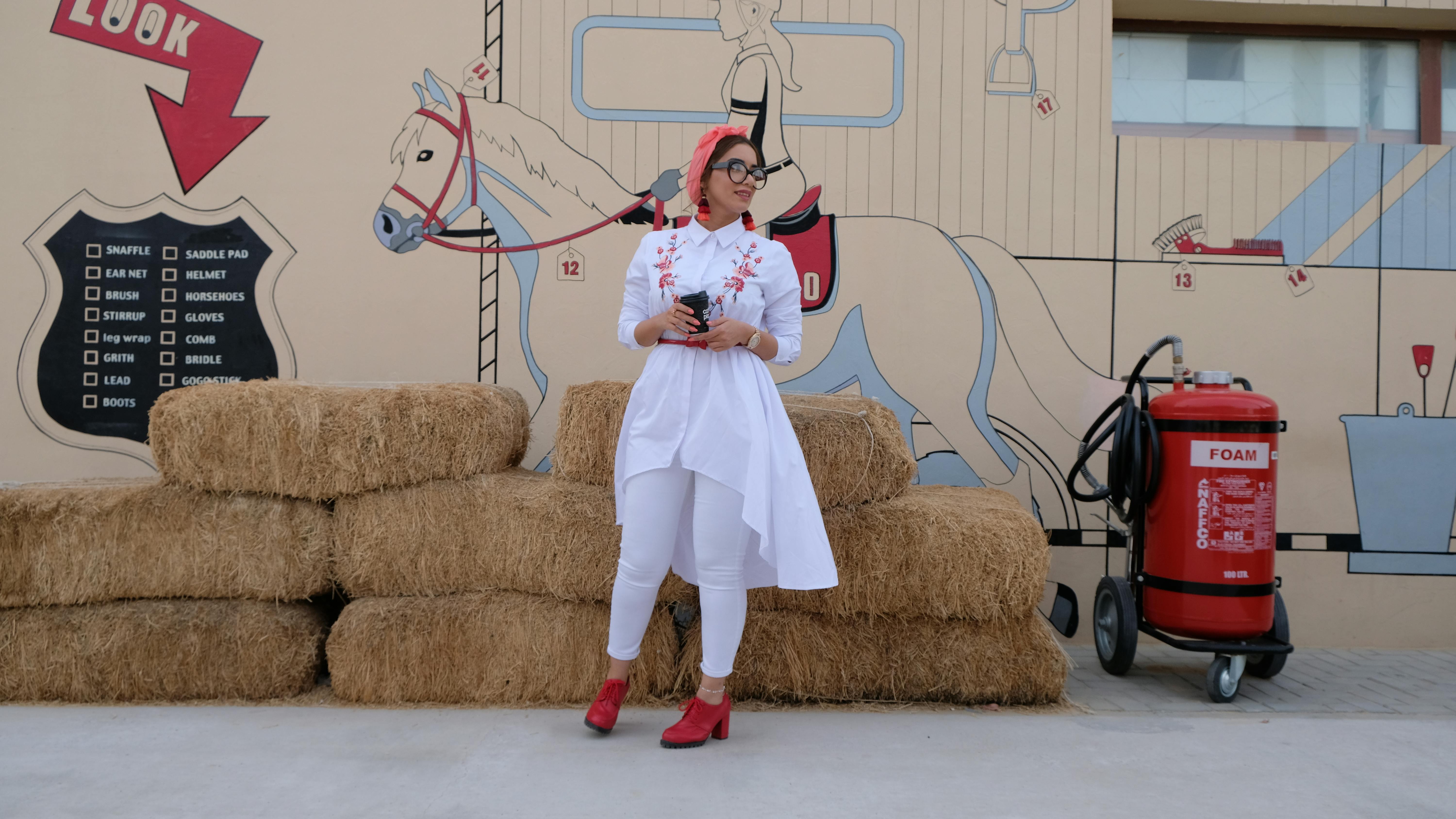 Free stock photo from The Lazy Artist · Pexels