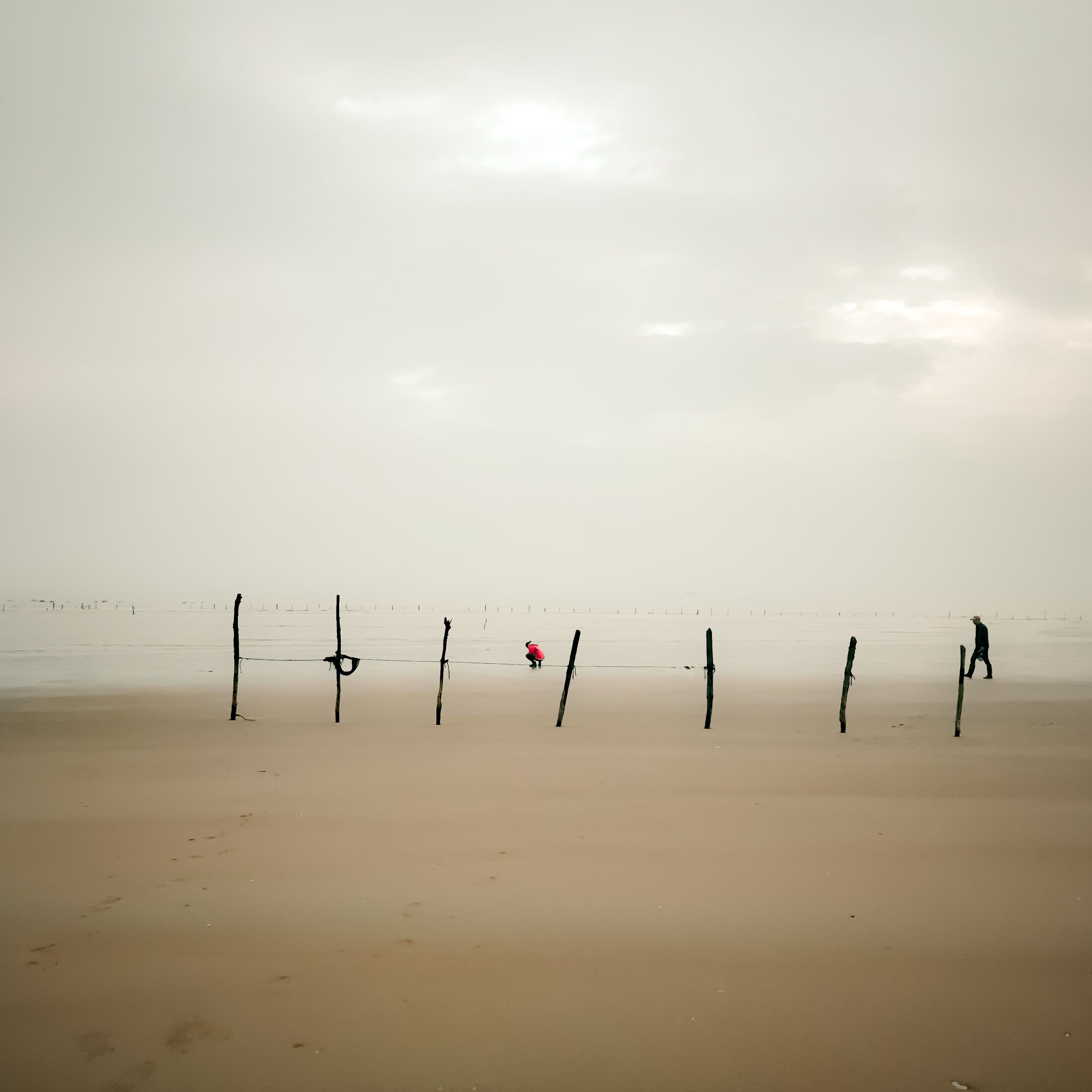 Ocean Waves on Beach Side · Free Stock Photo