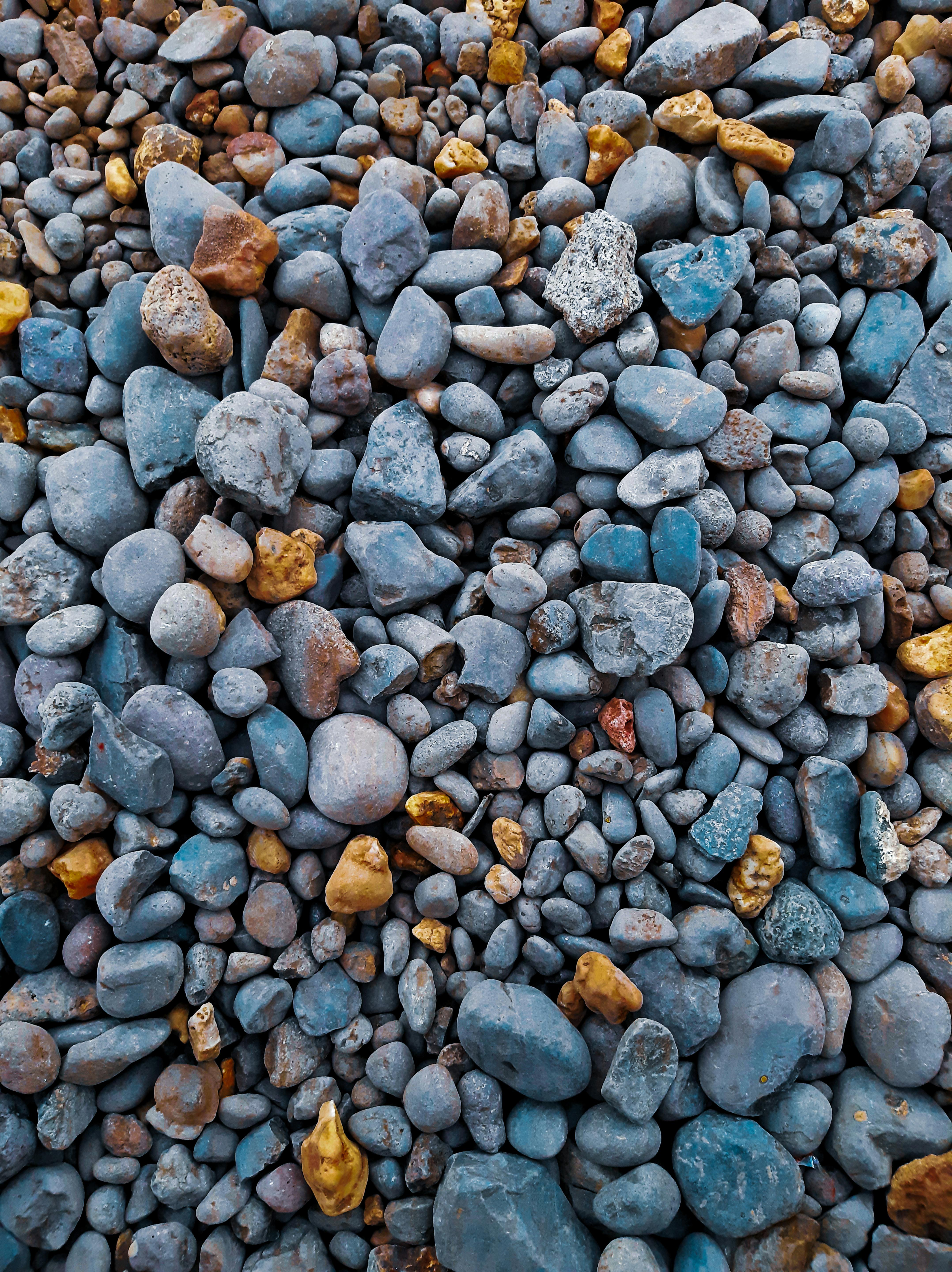 Stones on Shore Ground · Free Stock Photo