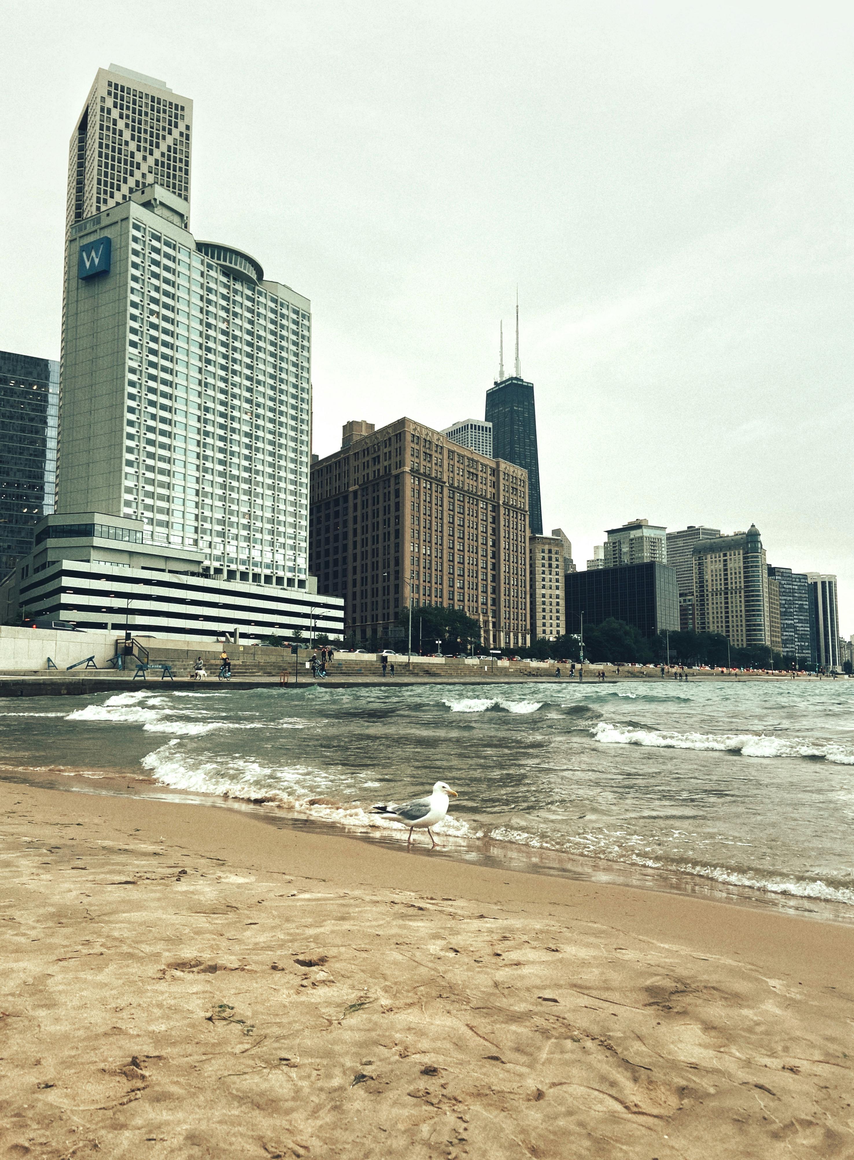 Buildings on Island by the Shore · Free Stock Photo