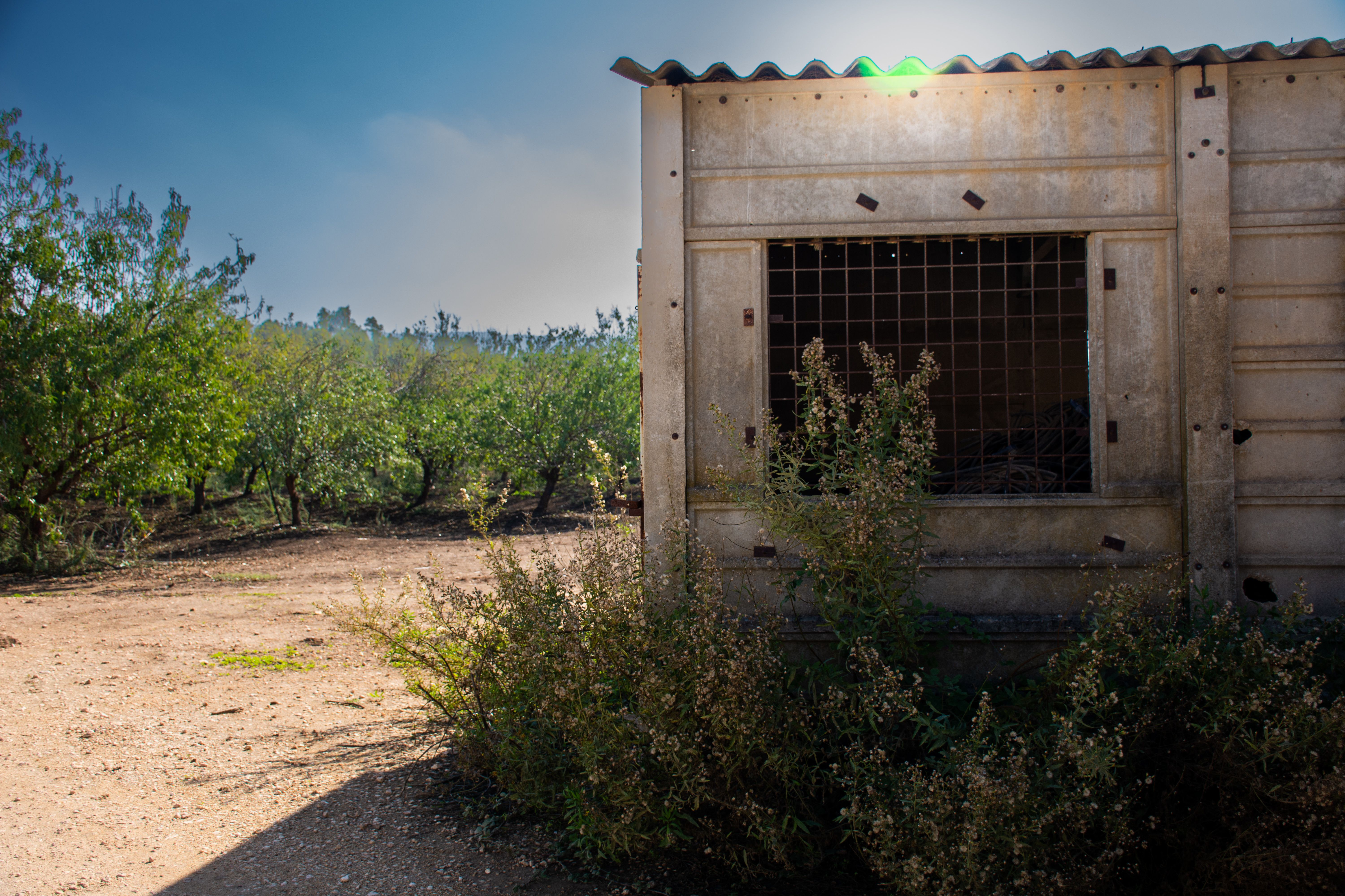 A Building in a Field · Free Stock Photo